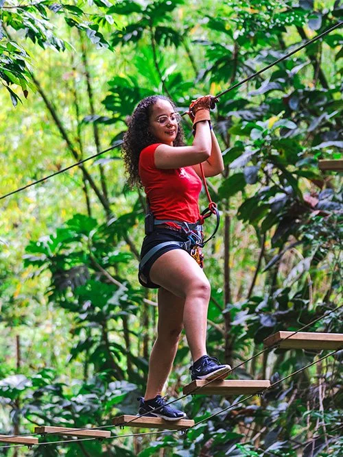 incontournable — Jardin Botanique de Valombreuse