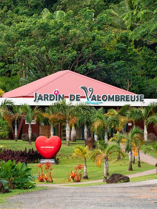 incontournable — Jardin Botanique de Valombreuse