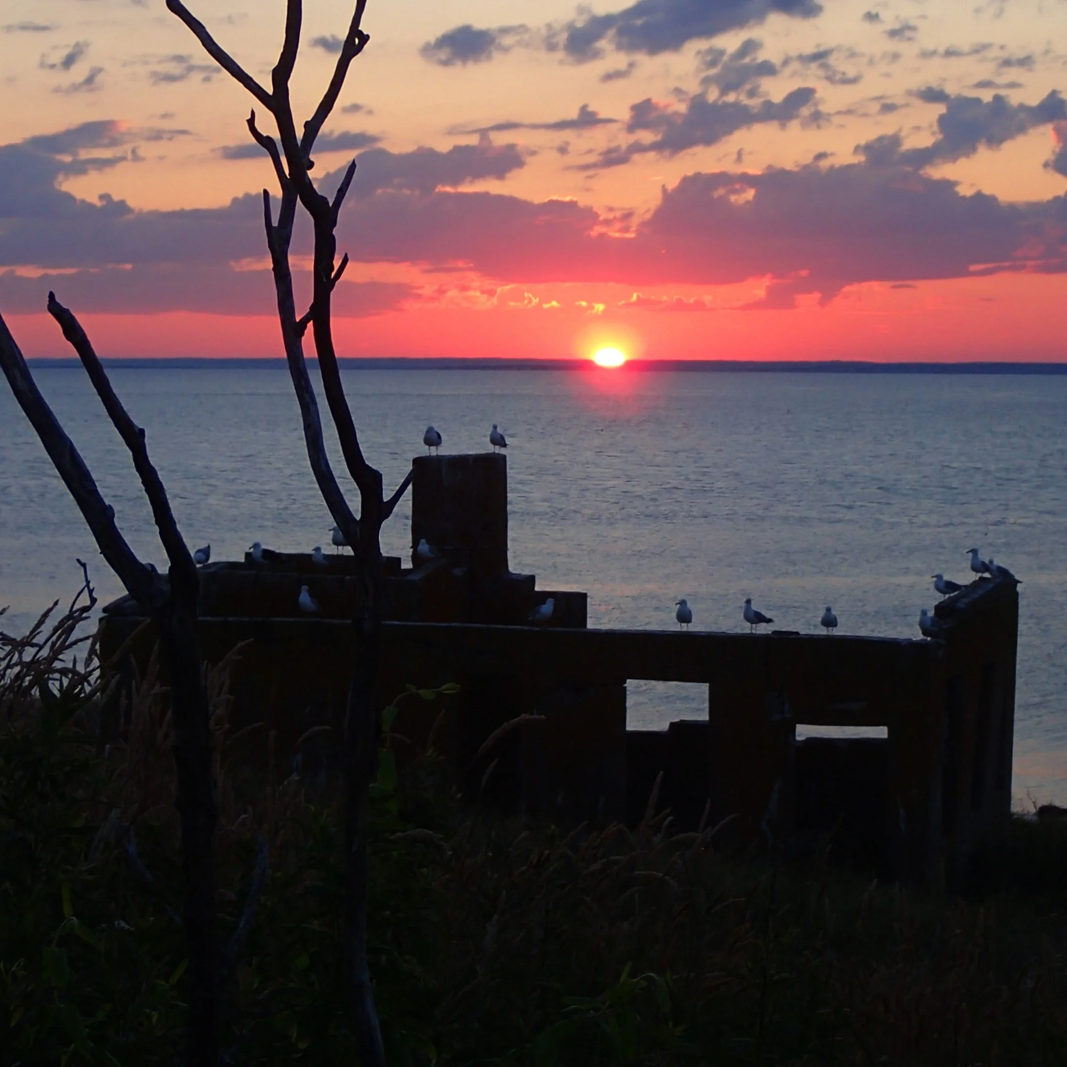 Penikese — Marc Folco | Open Season Specialties