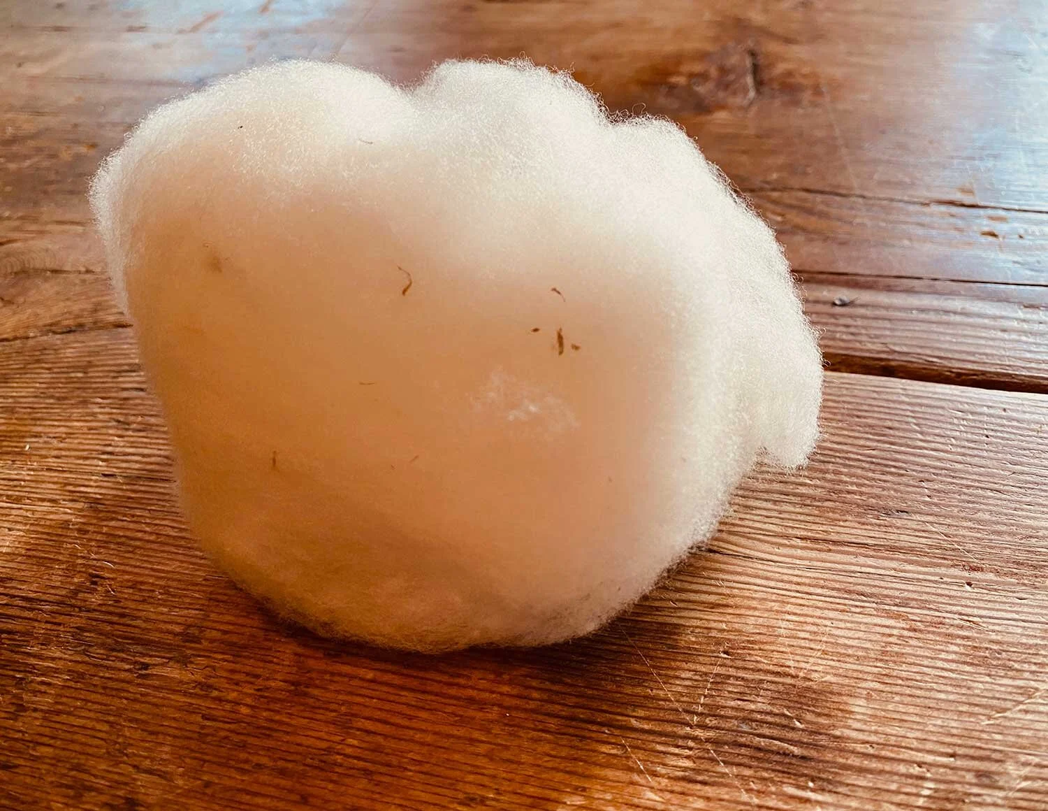 Our Selection of Weights to Choose From