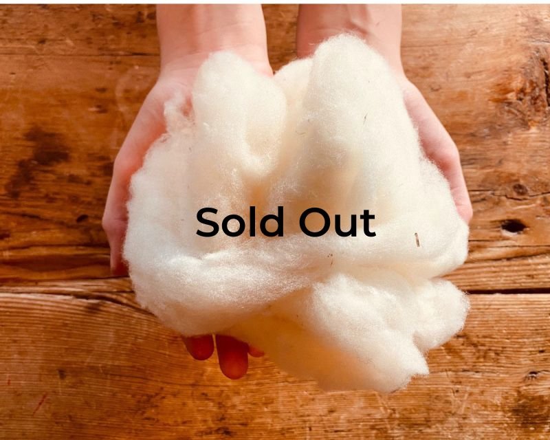 Our Selection of Weights to Choose From