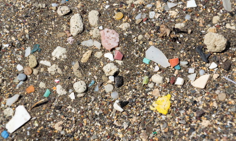 Plastics Activities and Lessons — PlasticFreeMKE