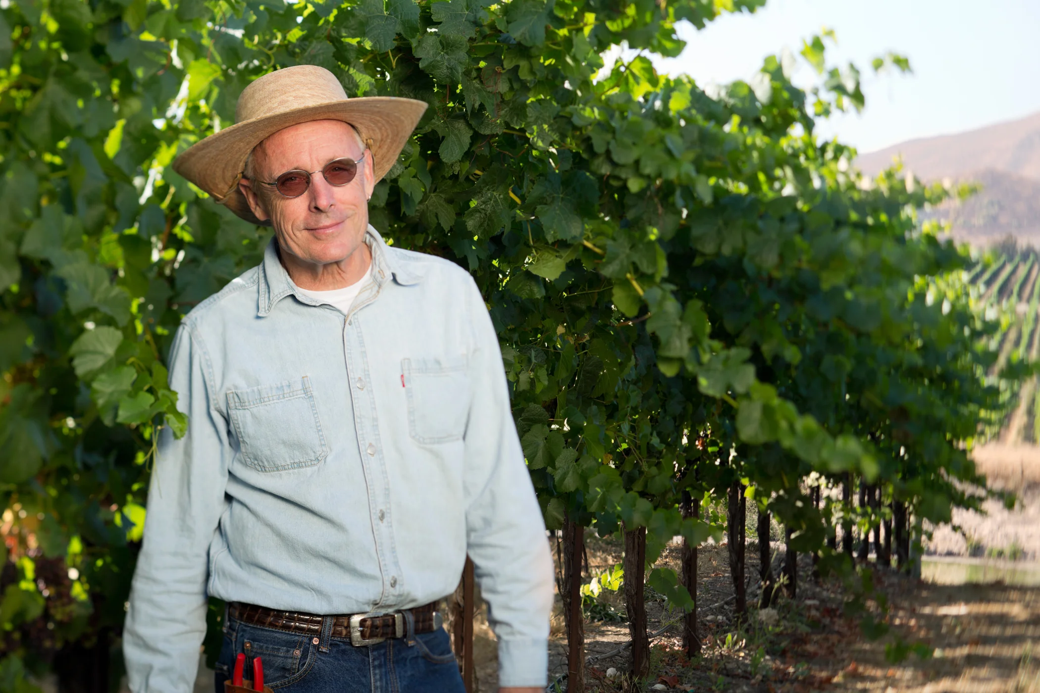 About — Campion Wines