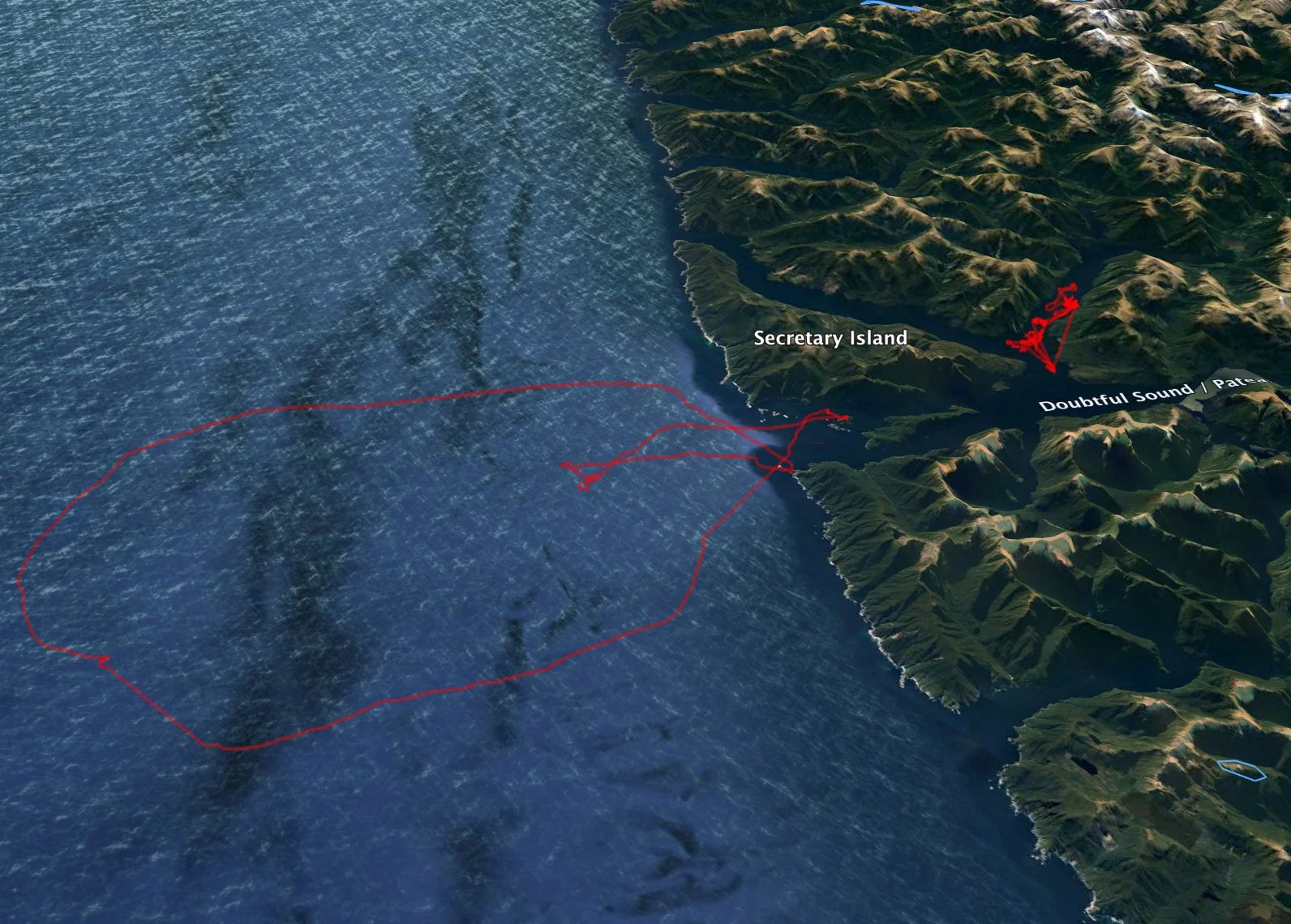 Tawaki project - Doubtful Sound — Blake hornblow