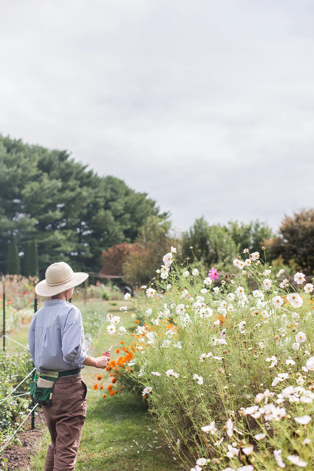 Whispering Flower Farm