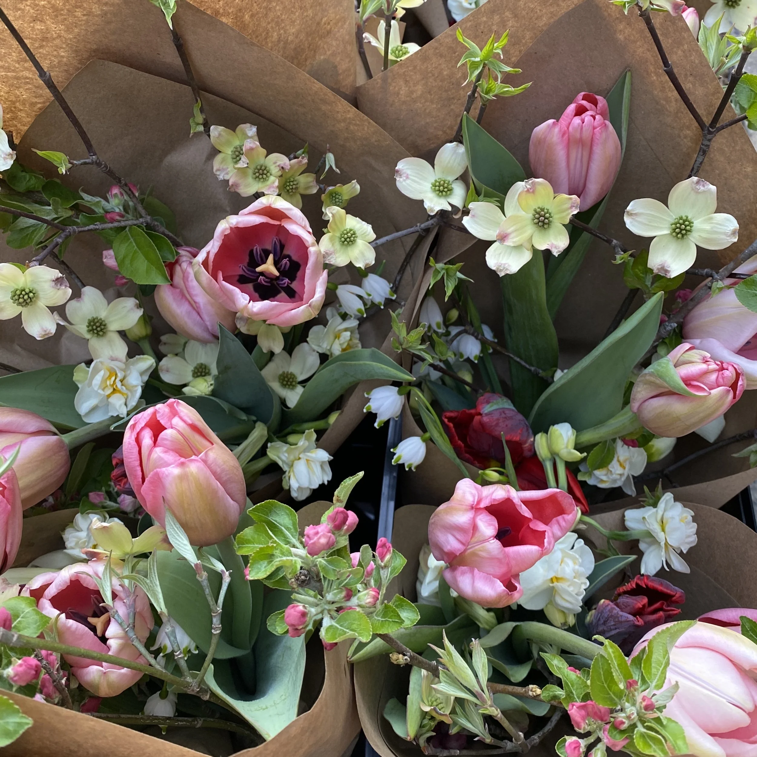 flower subscription — Whispering Flower Farm