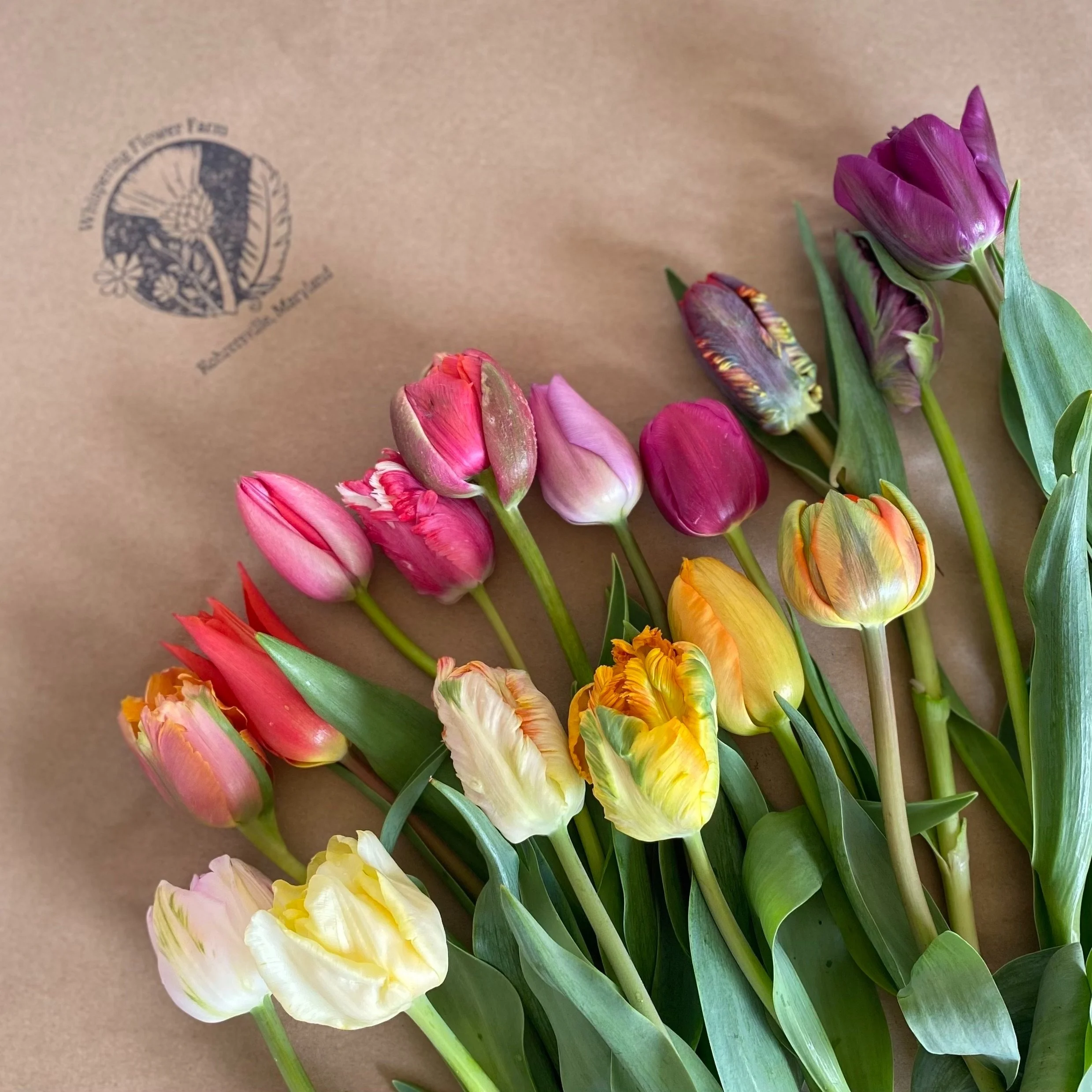 flower subscription — Whispering Flower Farm