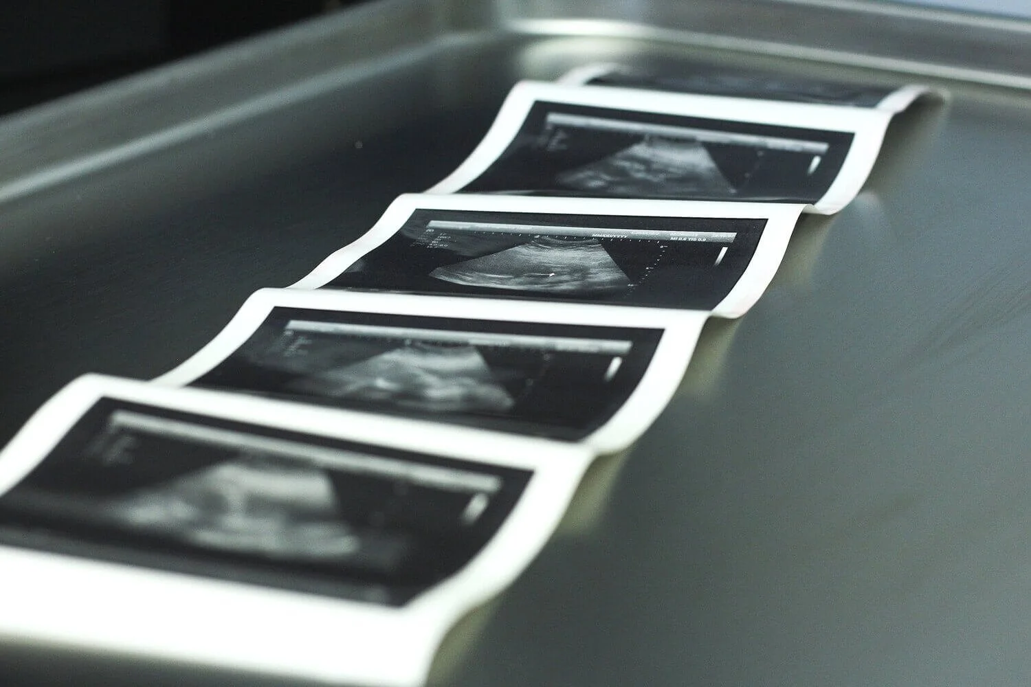 Treasure Valley Path