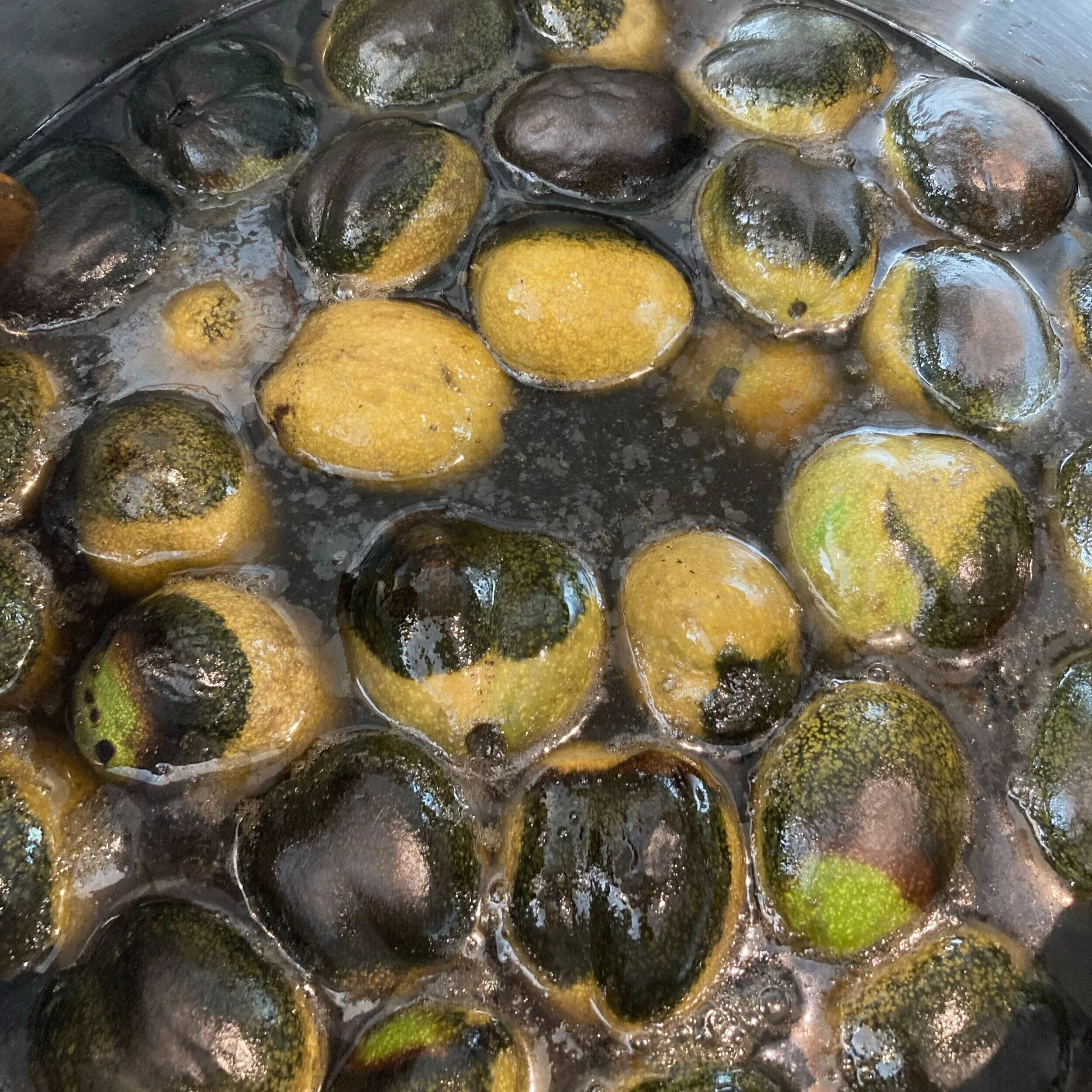 Pickling walnuts — Katy in the garden