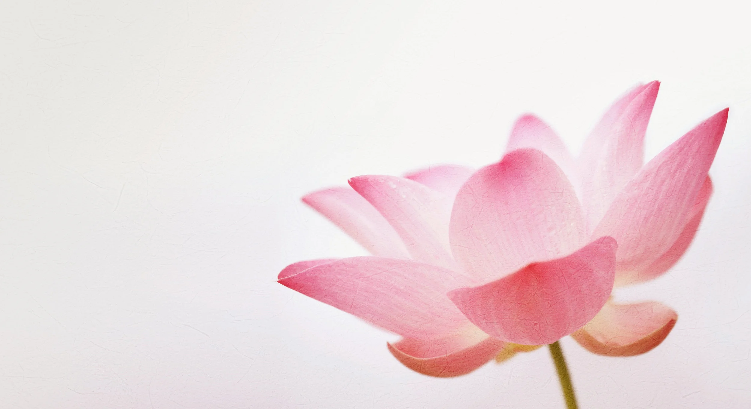 Thrive Postpartum, Couples and Family Therapy