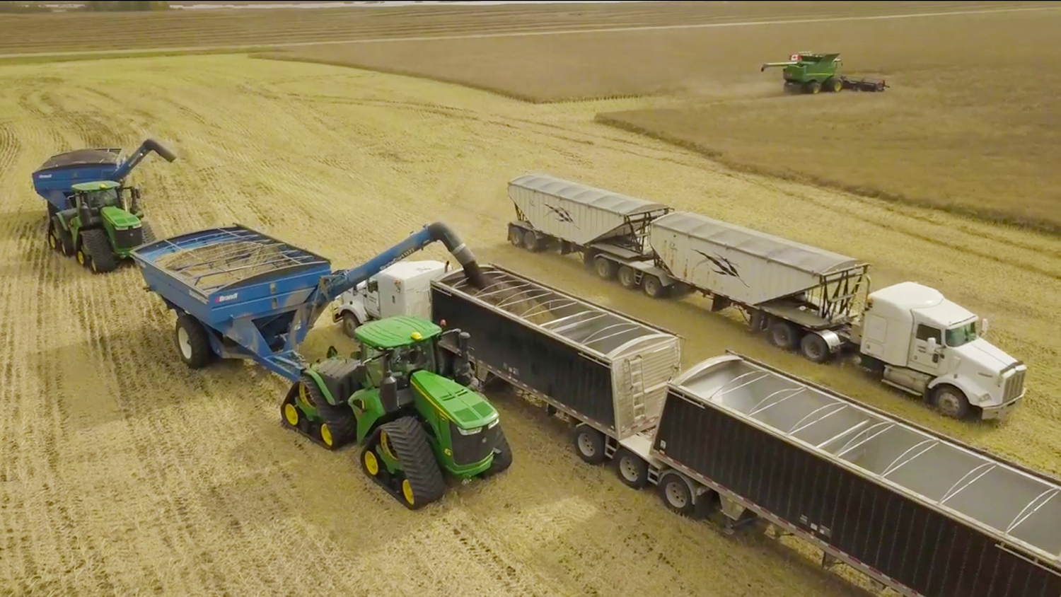 Media — Thunder Ridge Farms