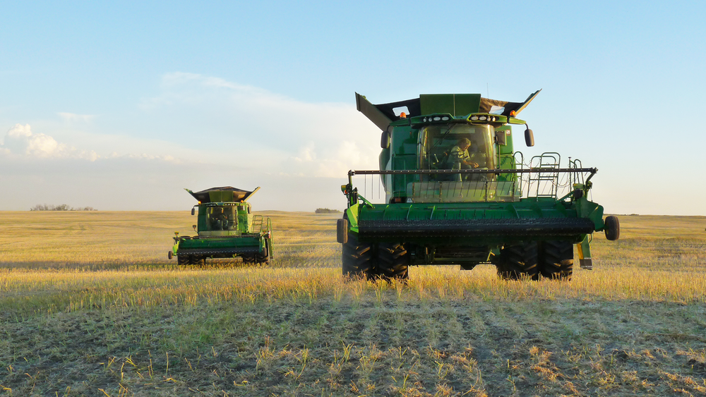 Media — Thunder Ridge Farms