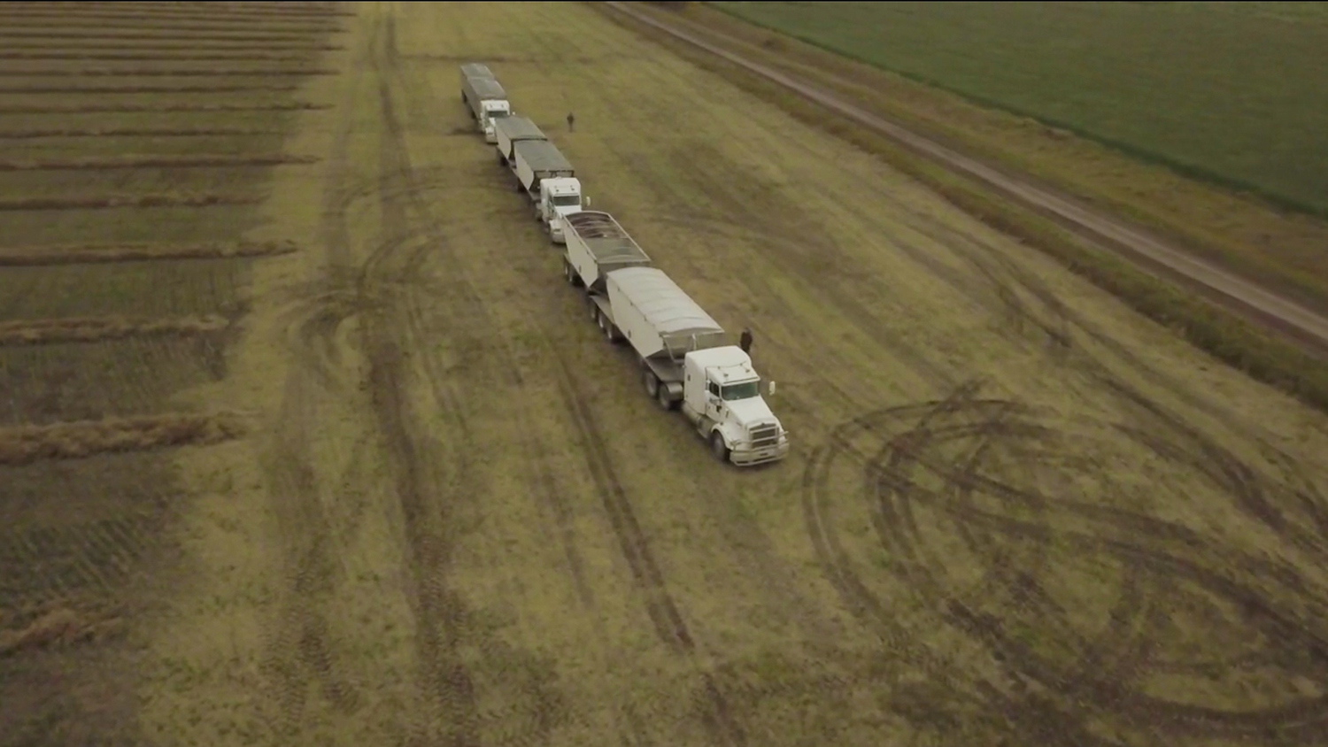 Media — Thunder Ridge Farms