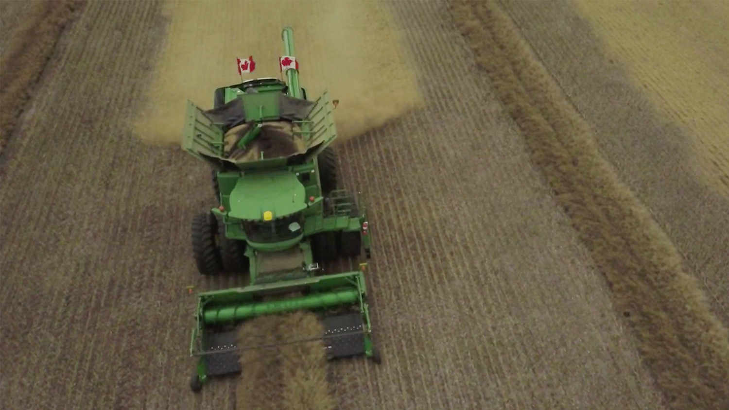 Media — Thunder Ridge Farms