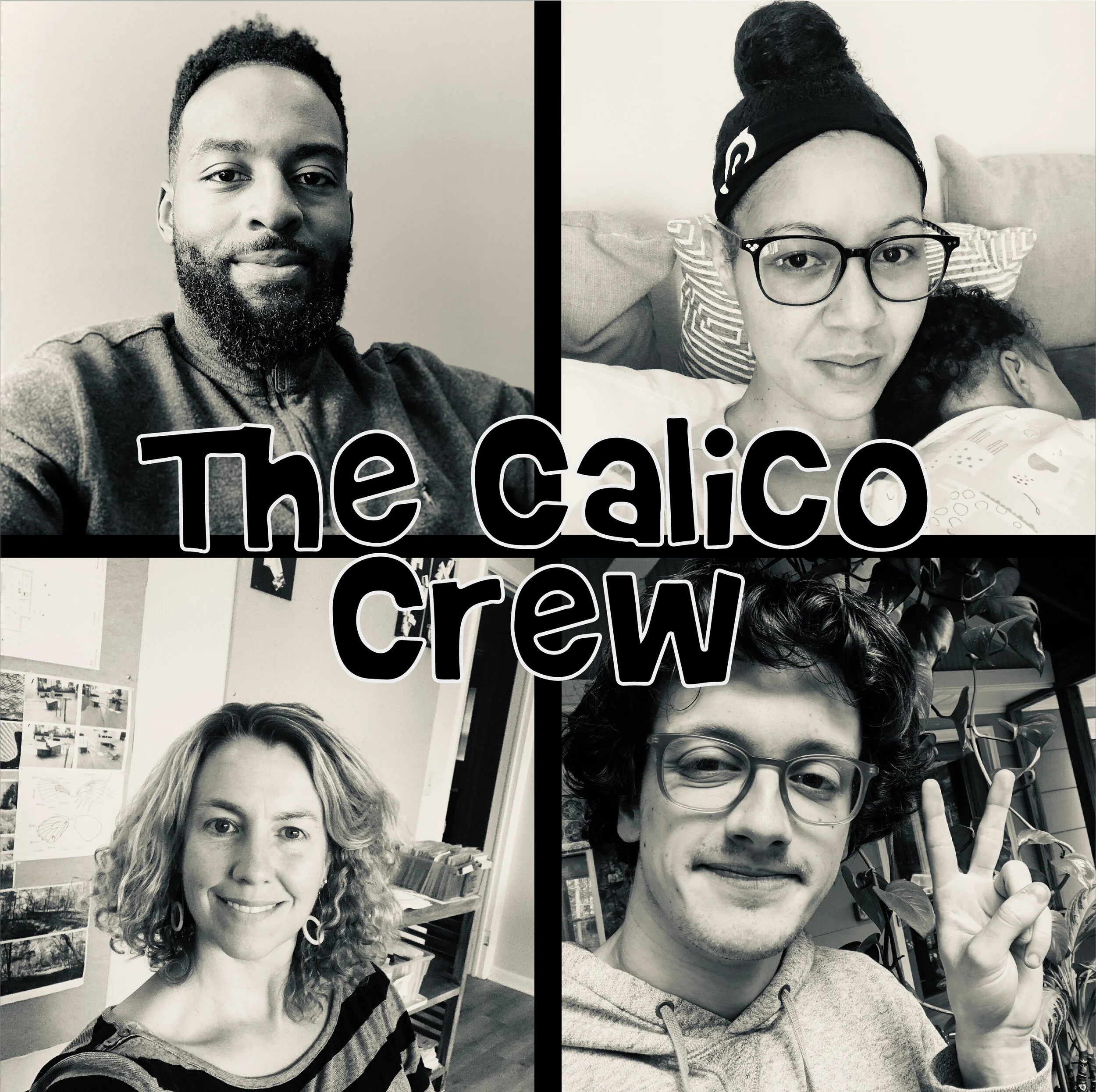 About — Calico Studio