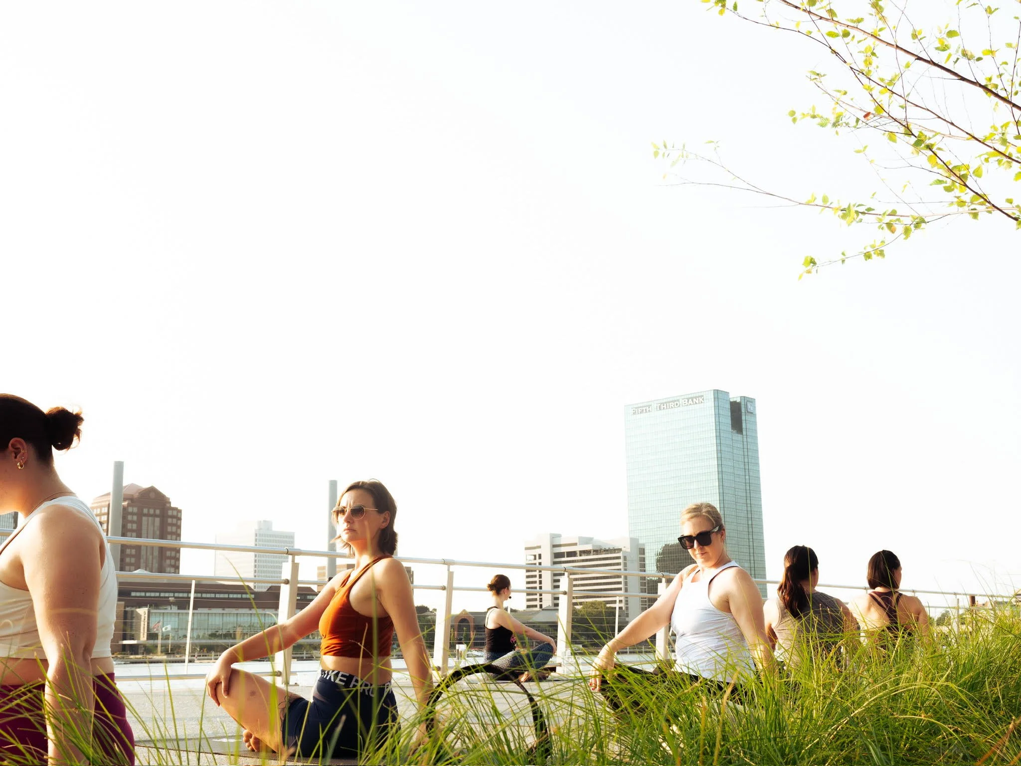 Events — Toledo Mindfulness Institute