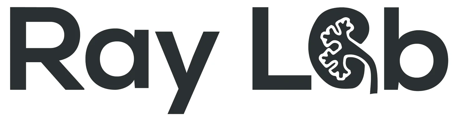 Ray Lab