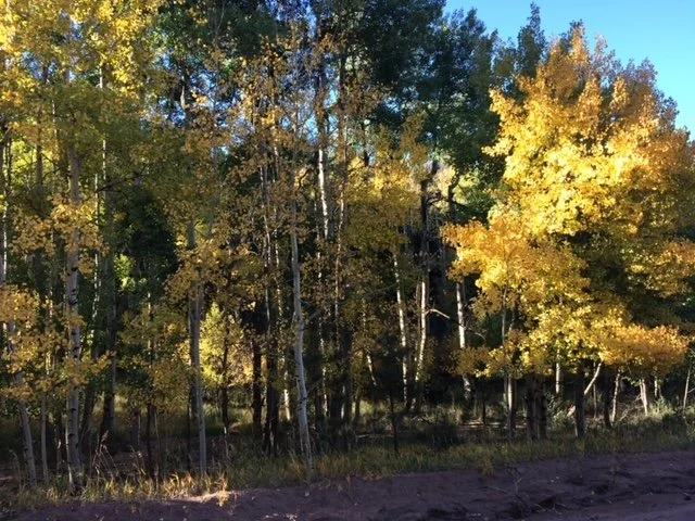 Turkey Rock Ranch — Turkey Rock Rec. Association