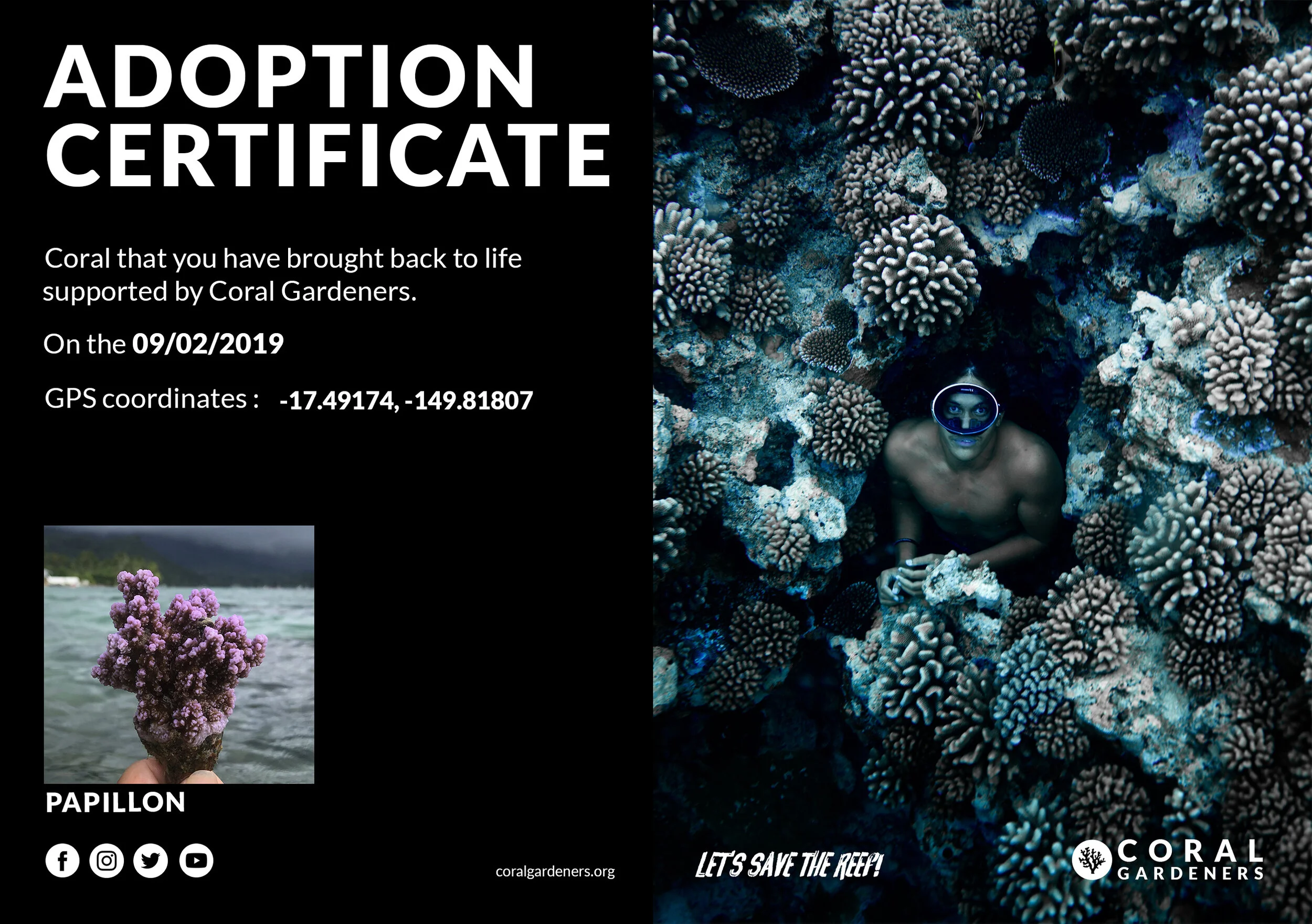 Coral Gardeners - regenerating Moorea's coral reef — HappyNess has No ...