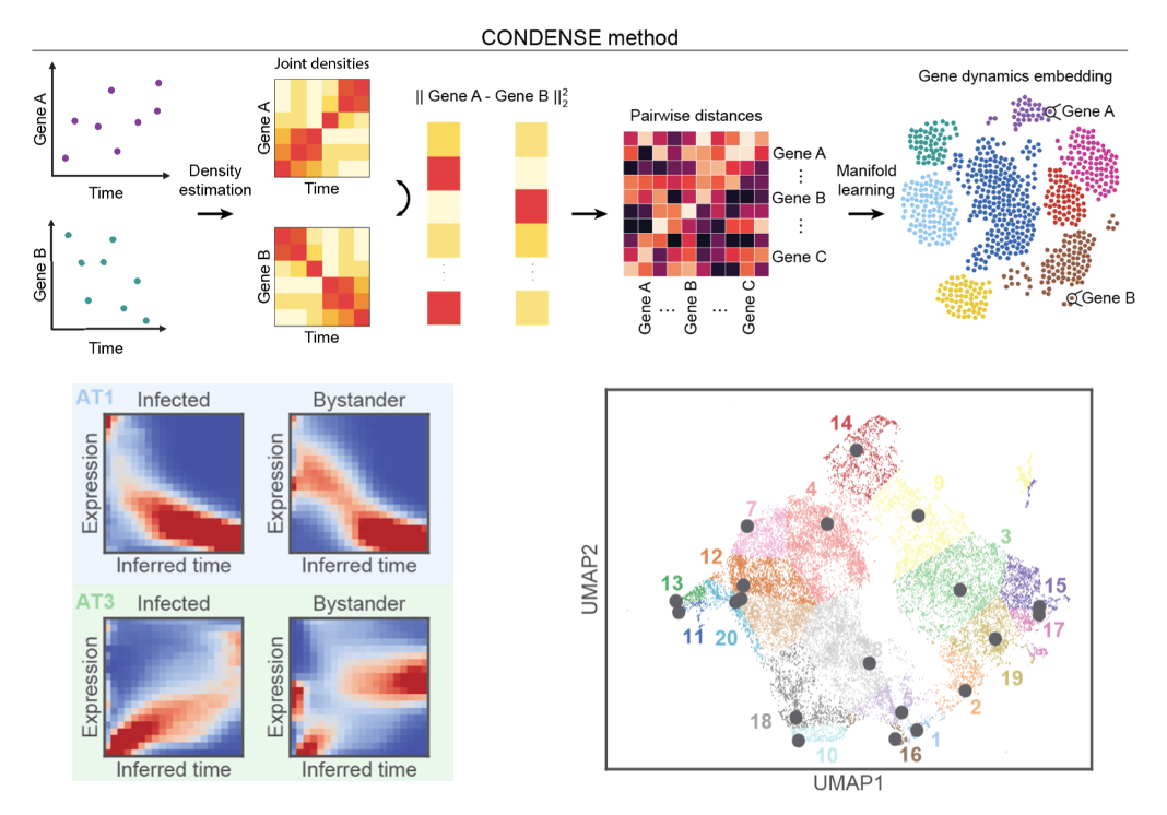 Projects — van Dijk Lab @Yale