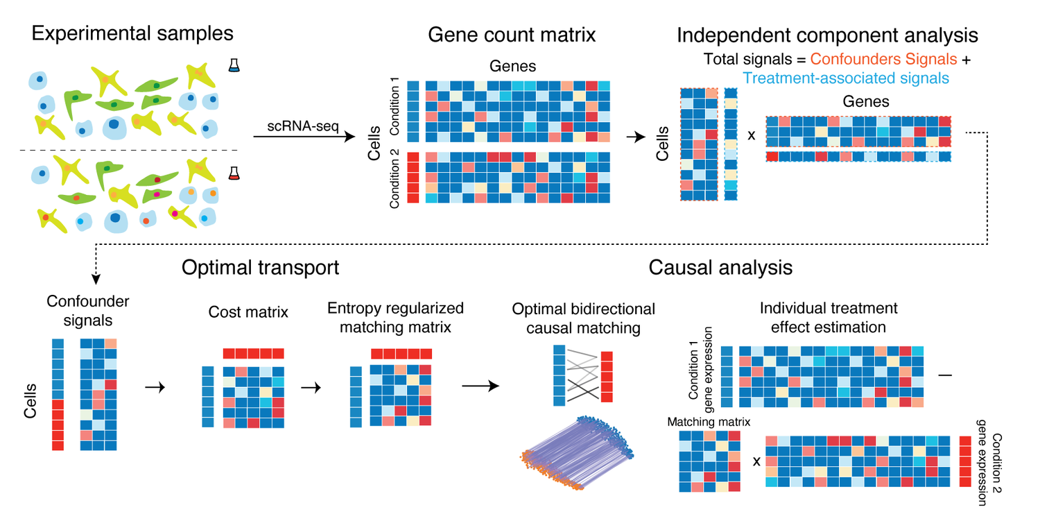 Projects — van Dijk Lab @Yale