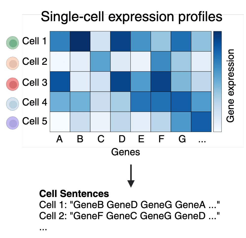 Projects — van Dijk Lab @Yale