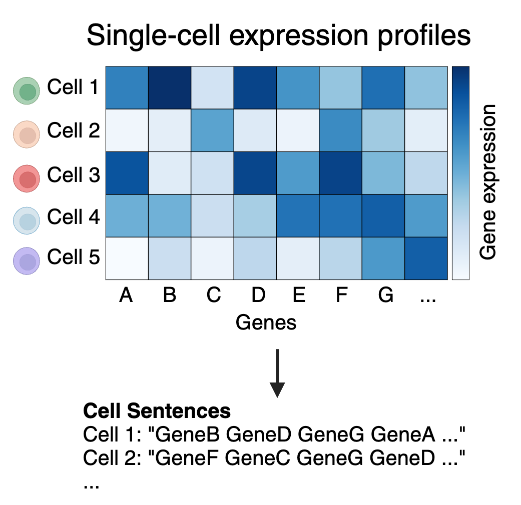 Projects — van Dijk Lab @Yale