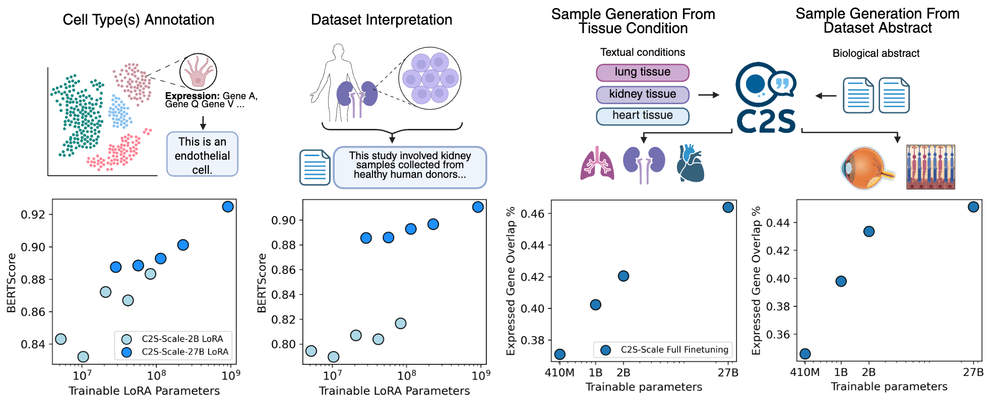 Projects — van Dijk Lab @Yale
