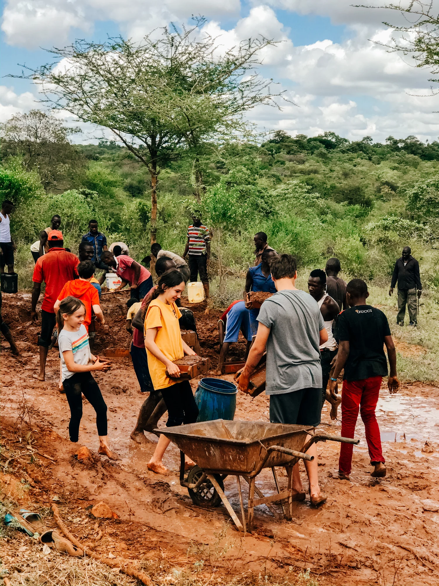 Building Bricks for Rhoda's house! A community project!! — Commission ...