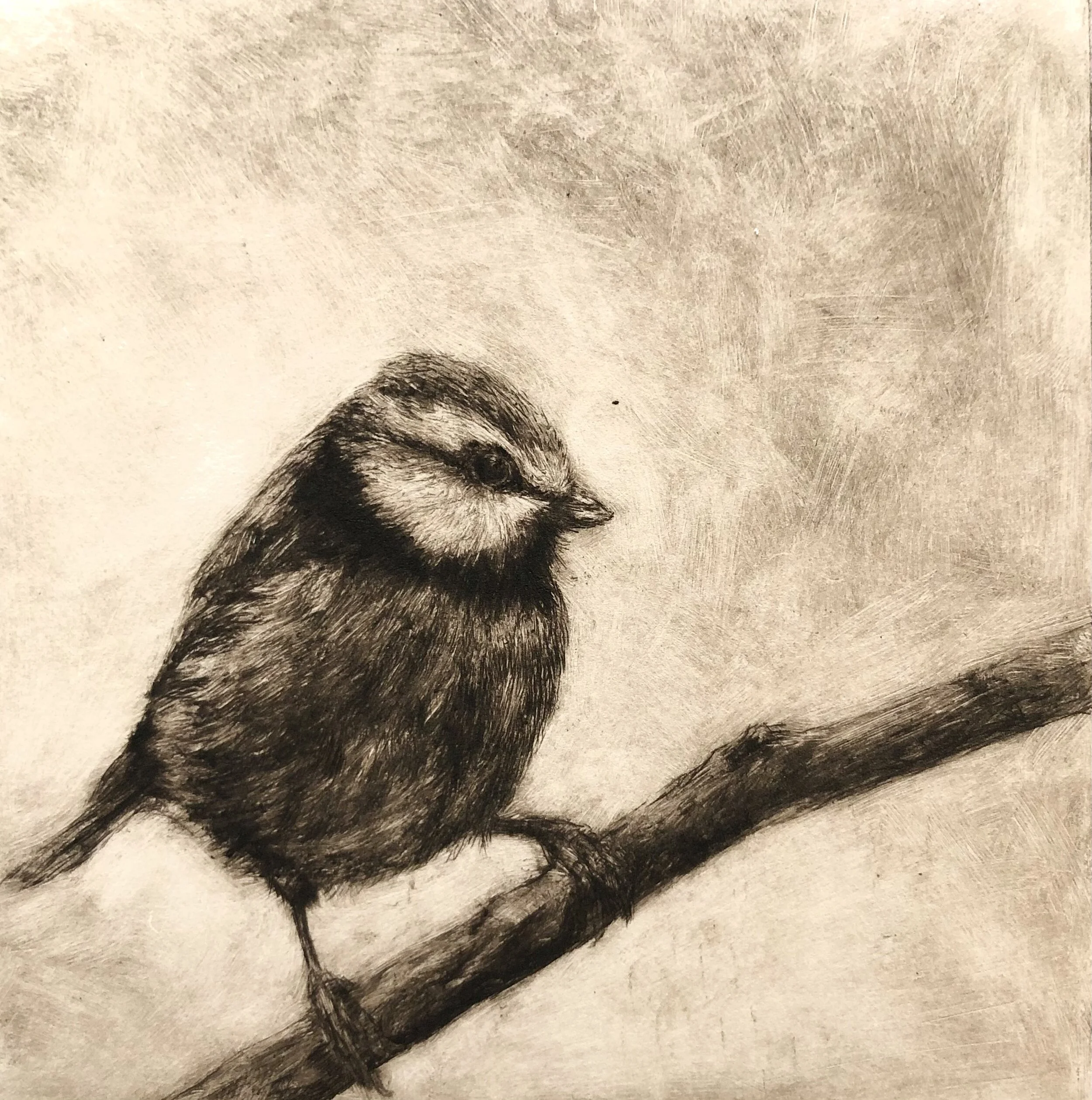 Shop — Eleanor Russell-Hsieh