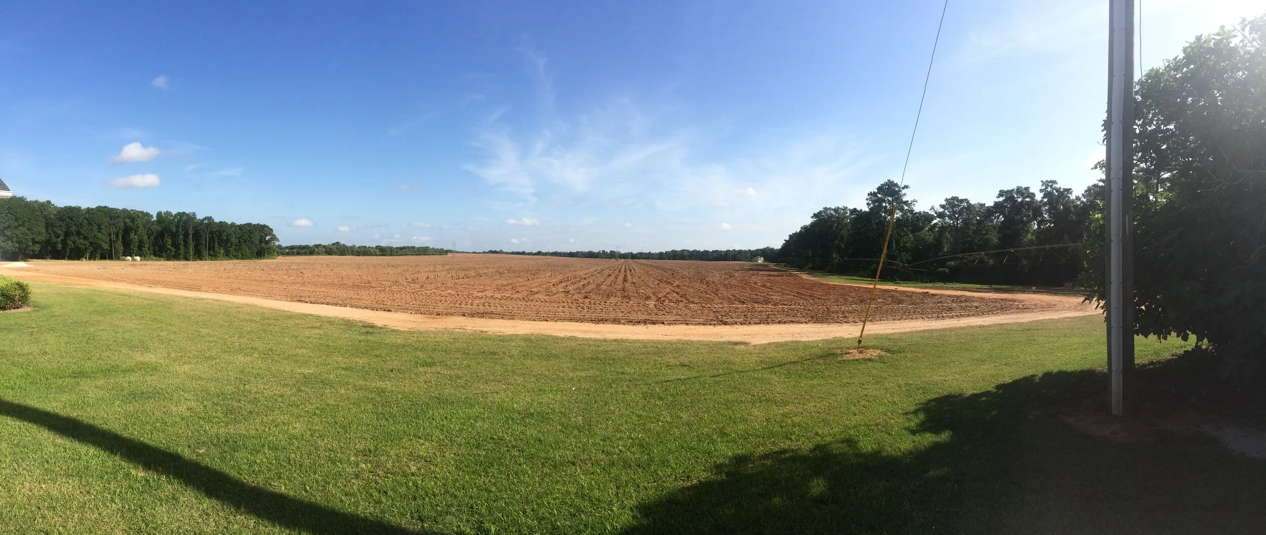 Georgia on My Mind — Imagineer STEAM