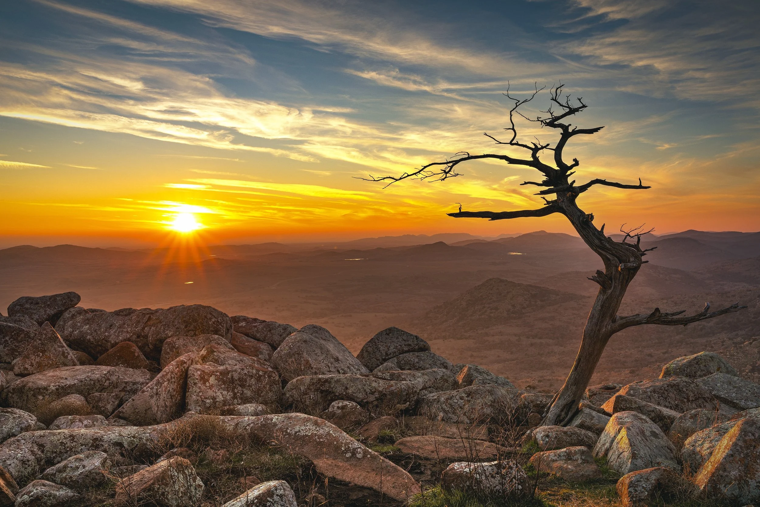 Randi Schuette Photography
