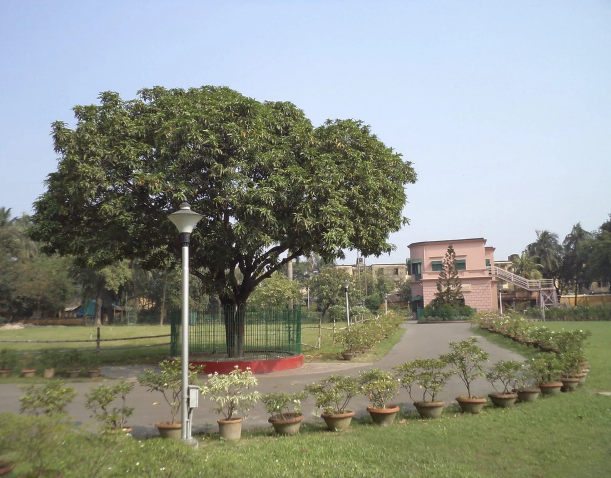 The Ramakrishna Kalpataru — Vedanta Society