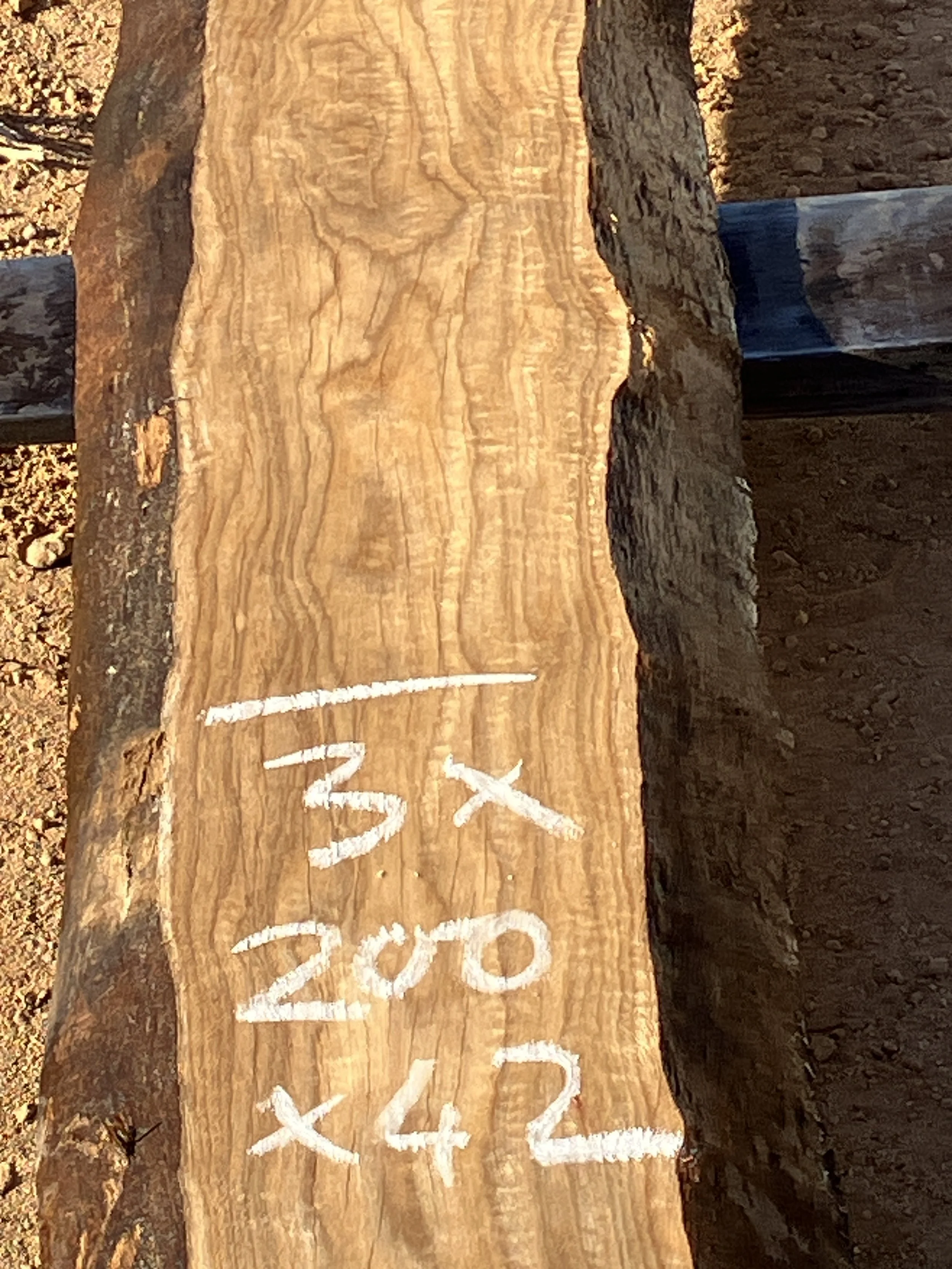 Sheoak, Marri, Tuart, Timber Slabs in Perth — The Fine Timber Company