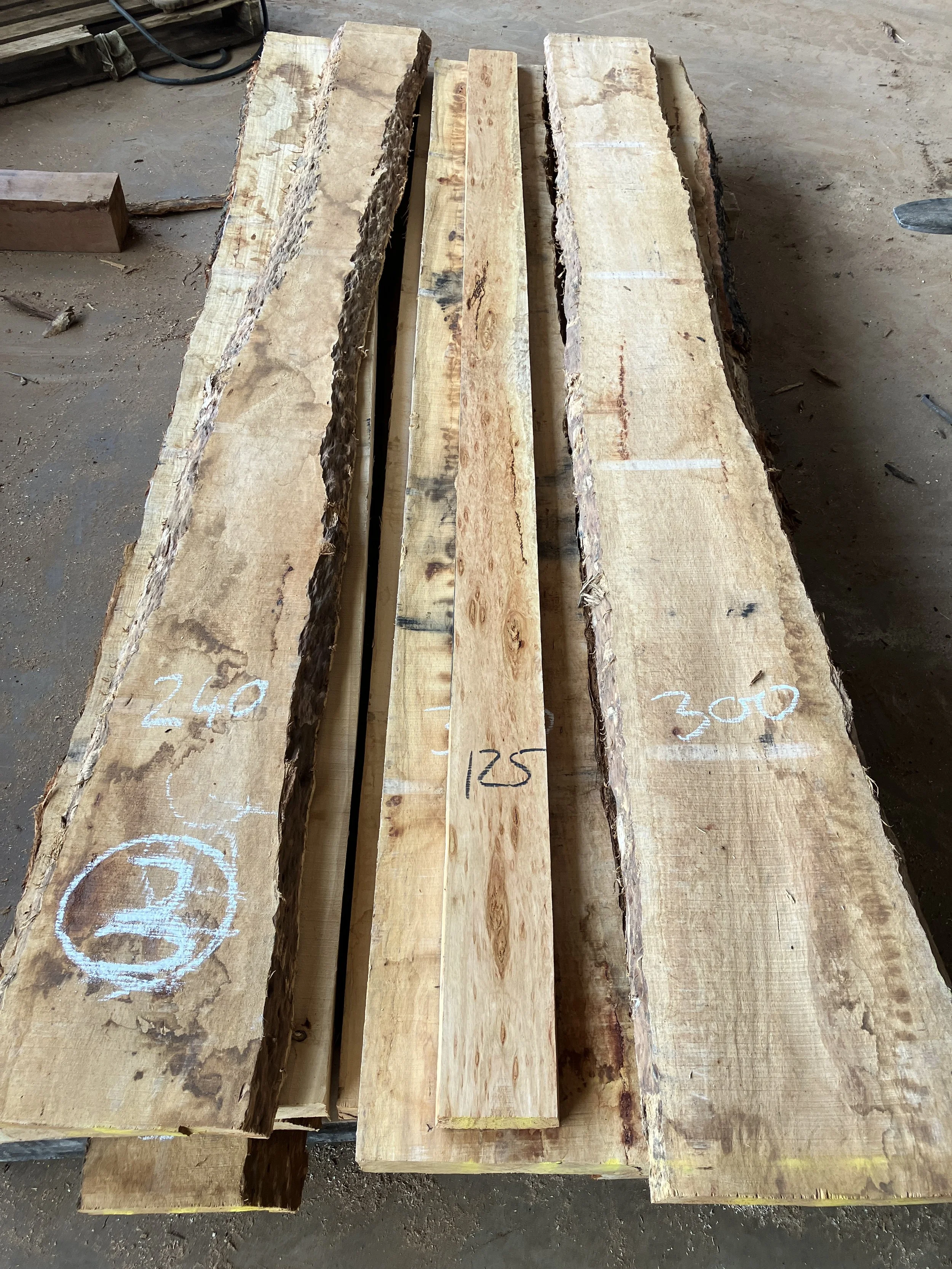 Sheoak, Marri, Tuart, Timber Slabs in Perth — The Fine Timber Company
