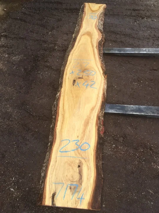 Sheoak, Marri, Tuart, Timber Slabs in Perth — The Fine Timber Company