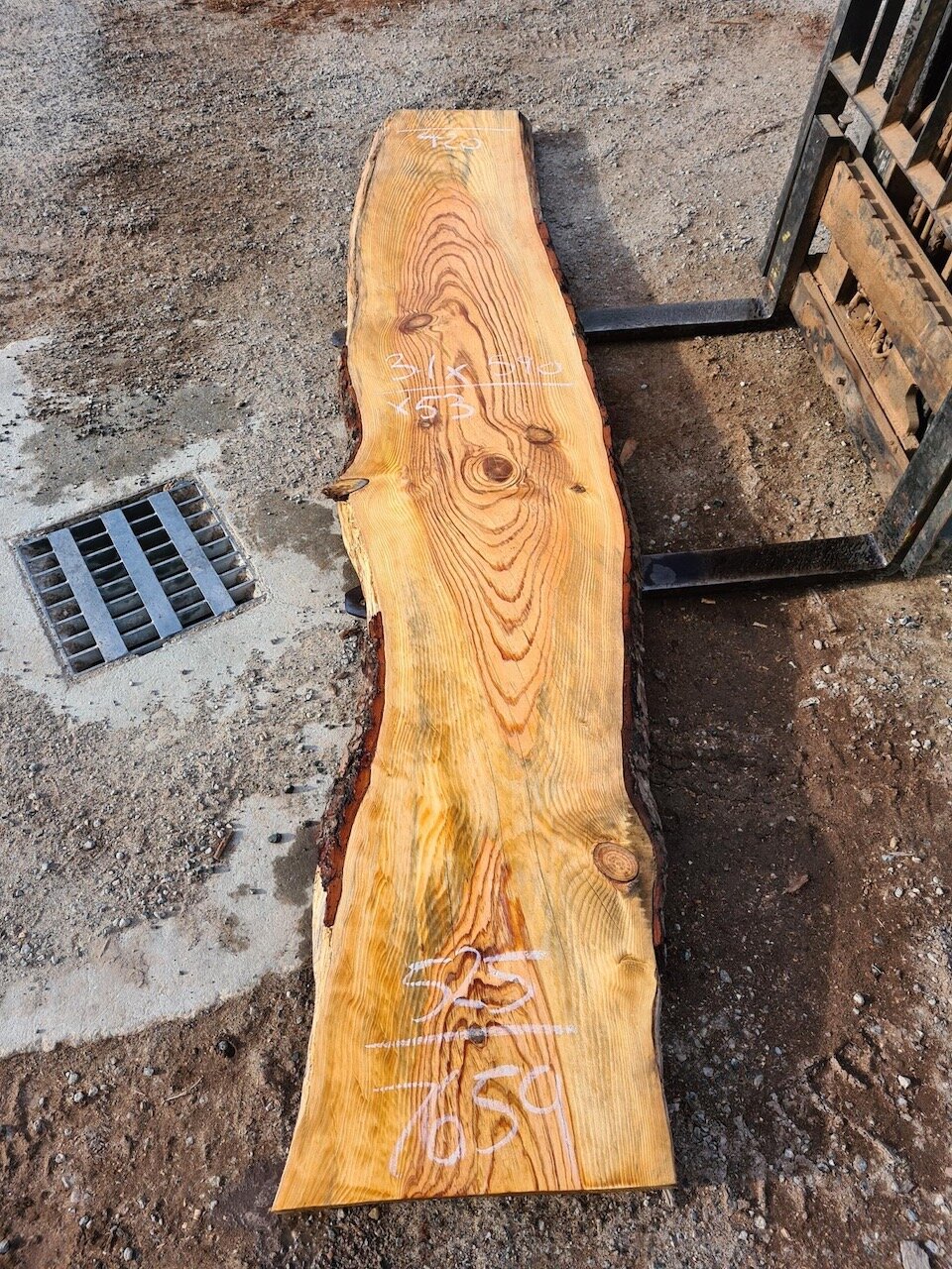 Sheoak, Marri, Tuart, Timber Slabs in Perth — The Fine Timber Company