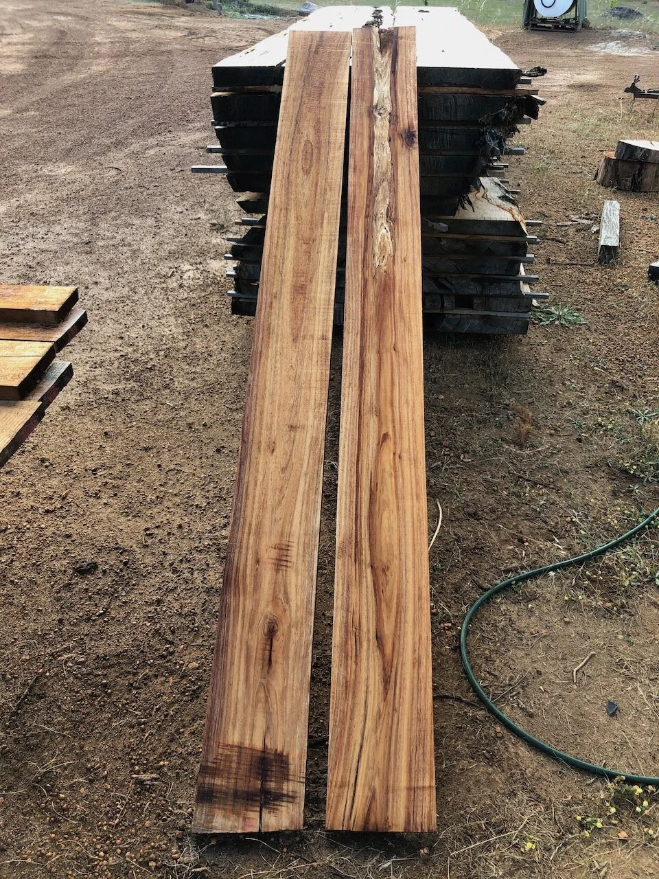 Sheoak, Marri, Tuart, Timber Slabs in Perth — The Fine Timber Company