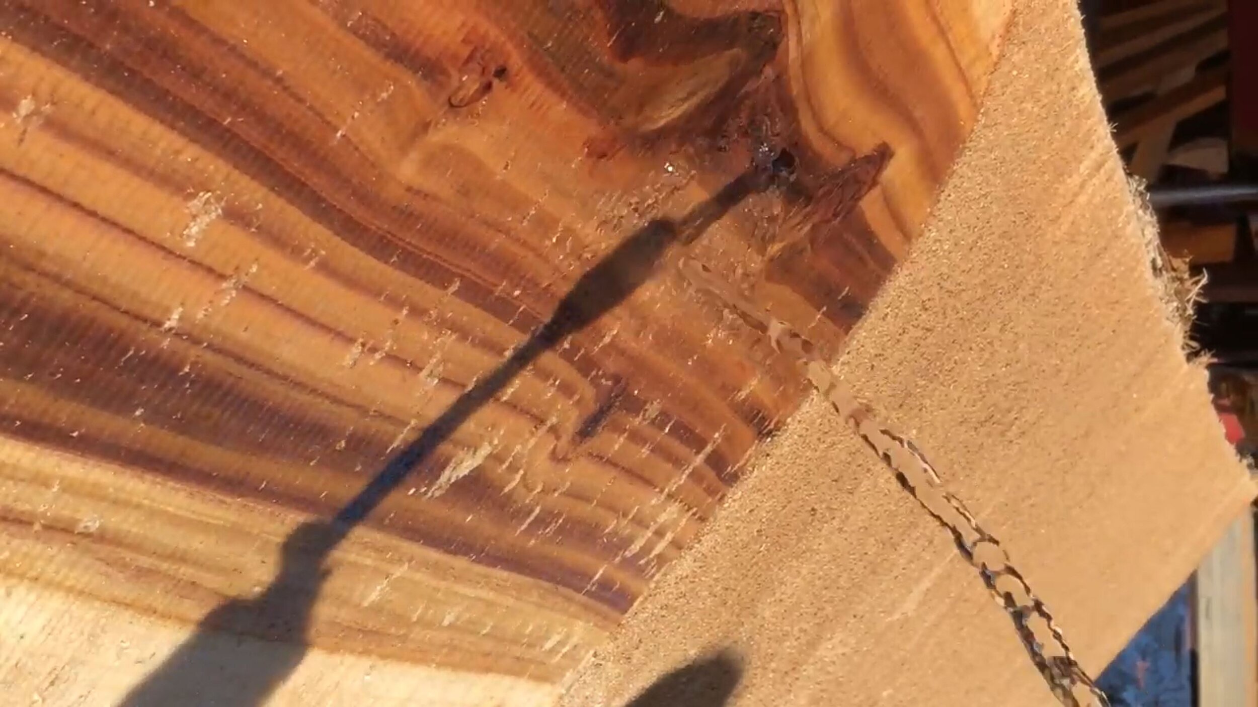 Feature Timber Milling & Supply — The Fine Timber Company