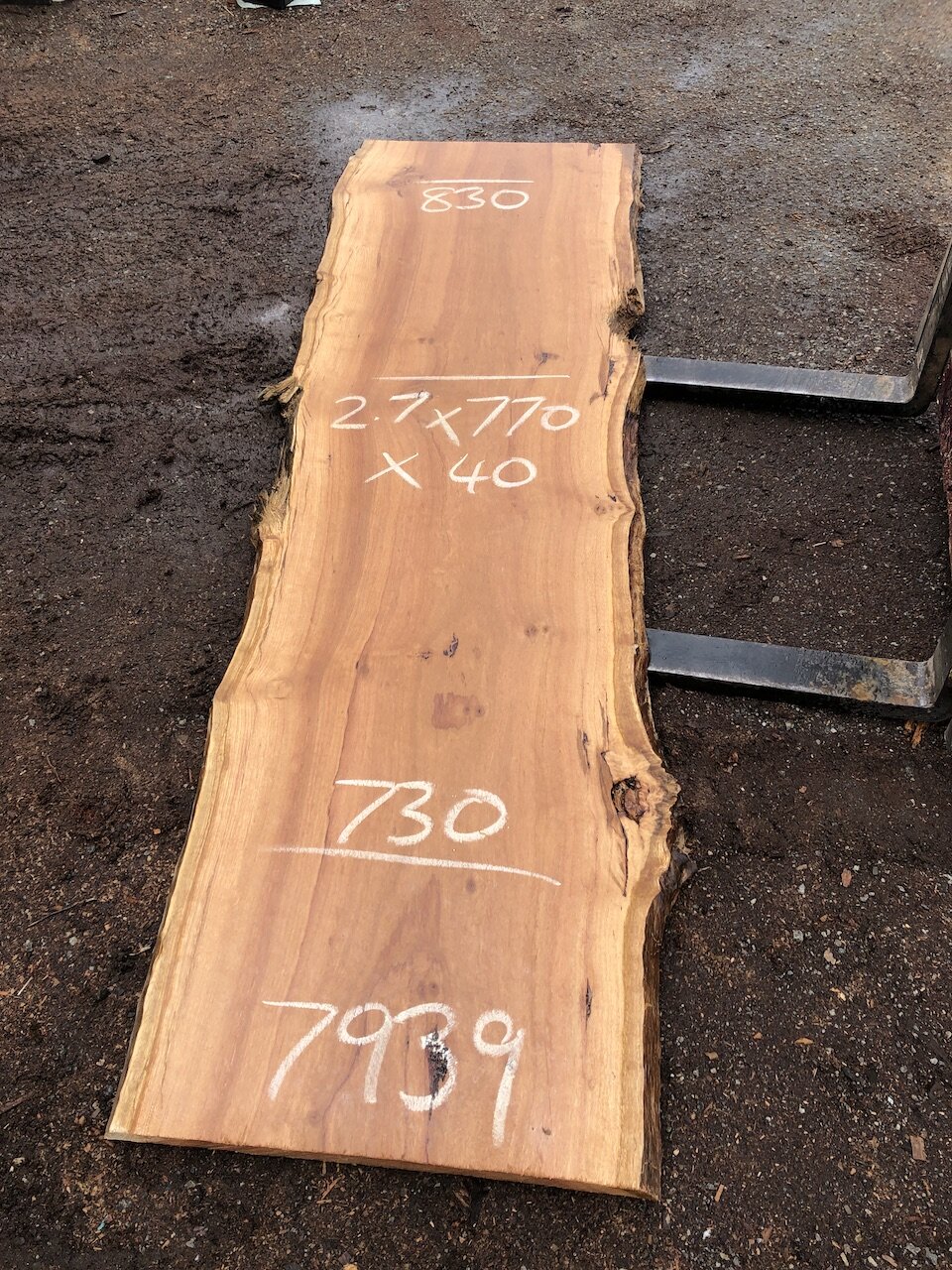 Sheoak, Marri, Tuart, Timber Slabs in Perth — The Fine Timber Company