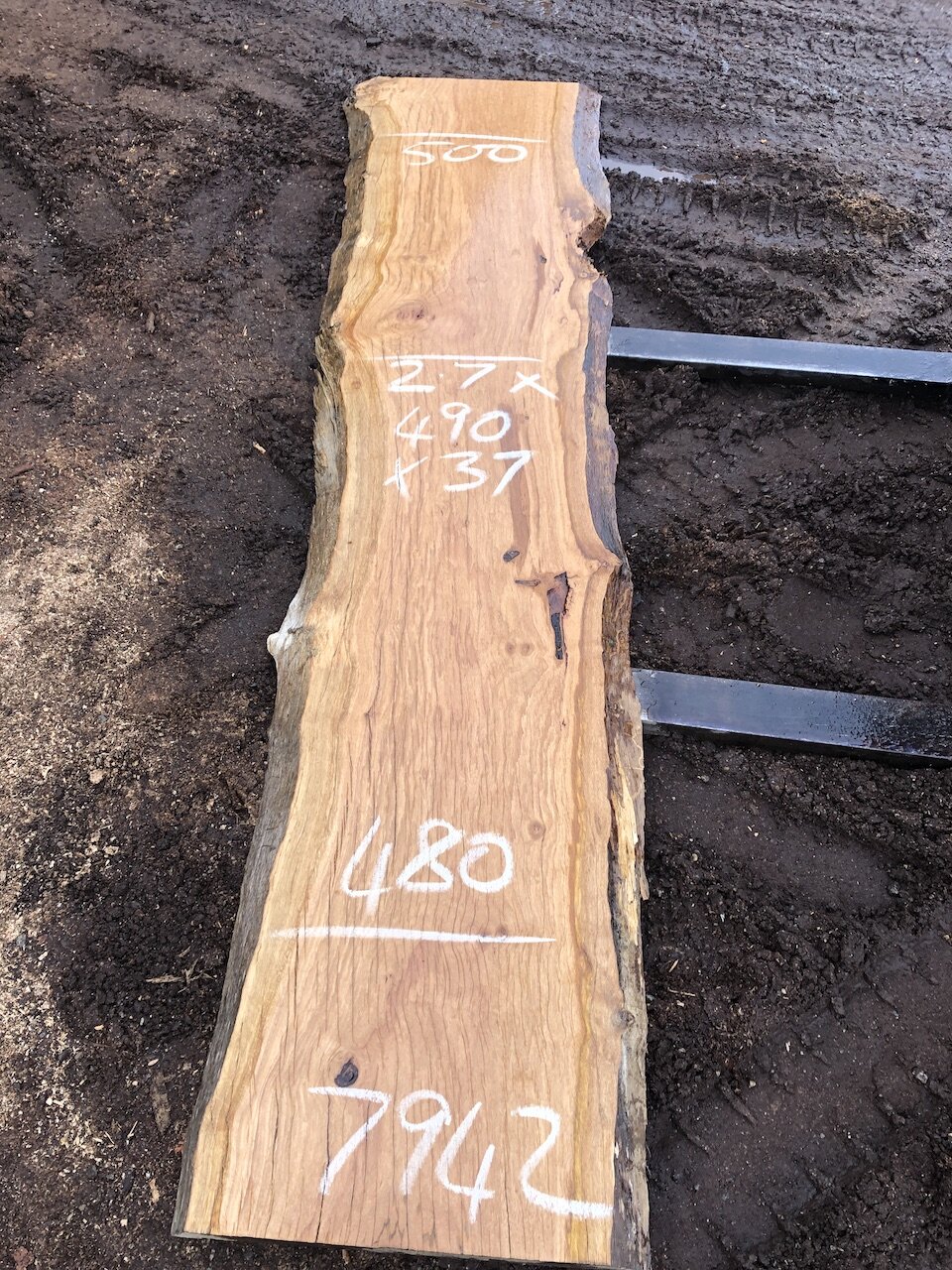 Sheoak, Marri, Tuart, Timber Slabs in Perth — The Fine Timber Company