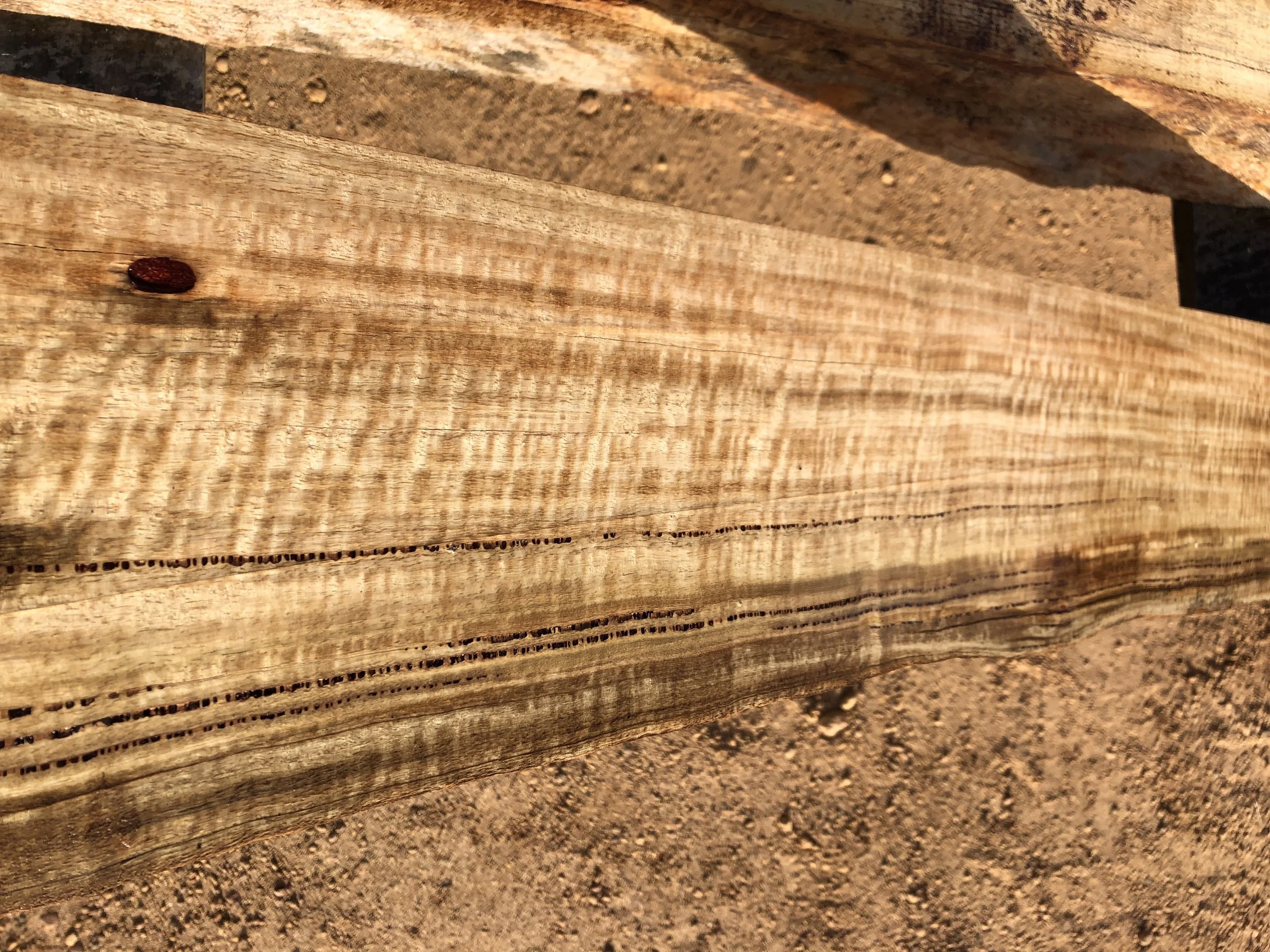 Products — The Fine Timber Company