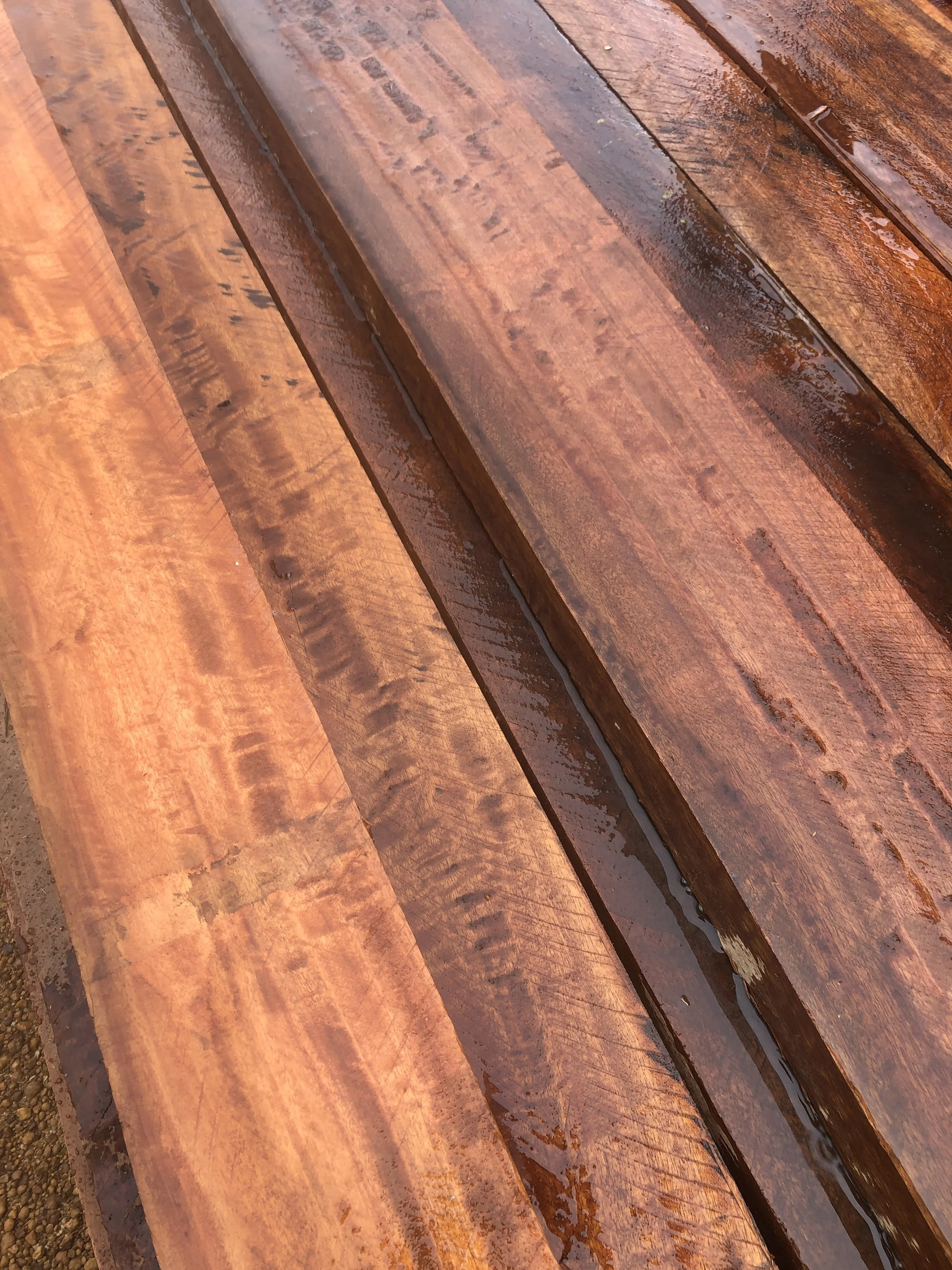 Sheoak, Marri, Tuart, Timber Slabs in Perth — The Fine Timber Company