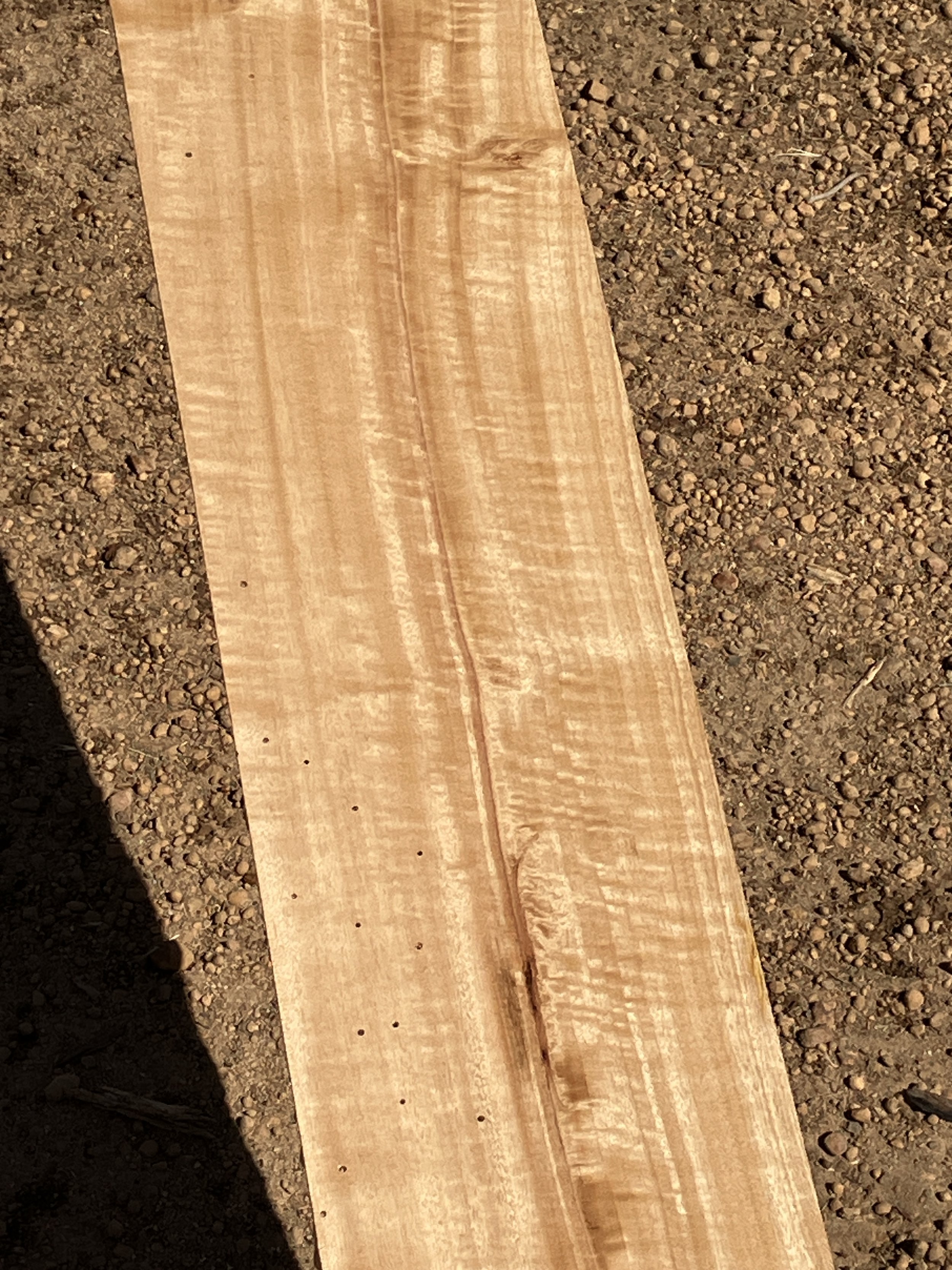 Sheoak, Marri, Tuart, Timber Slabs in Perth — The Fine Timber Company