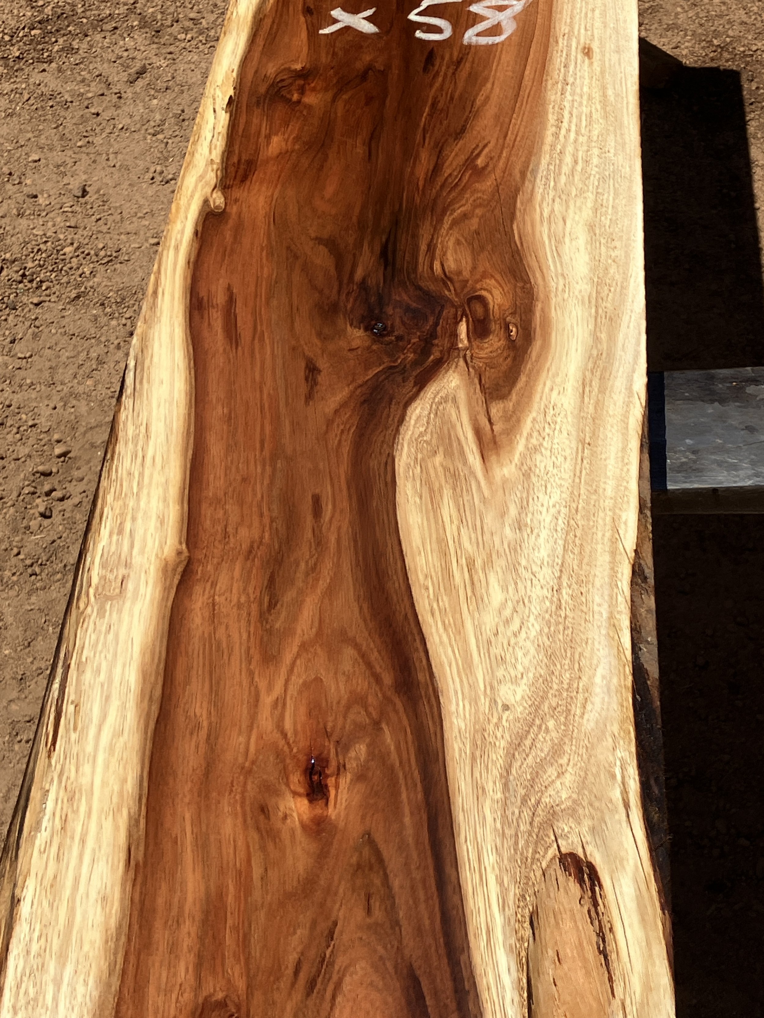 Sheoak, Marri, Tuart, Timber Slabs in Perth — The Fine Timber Company