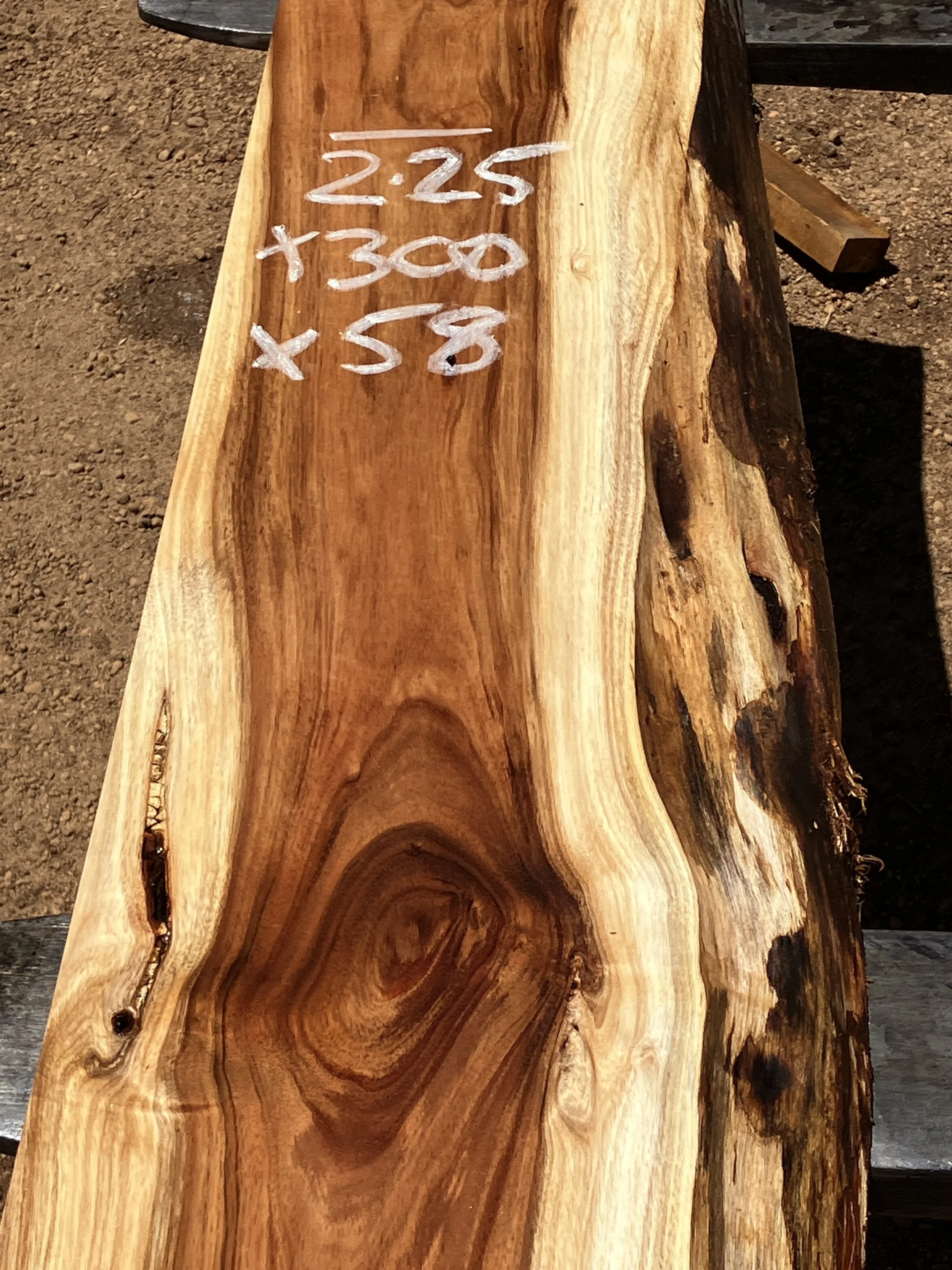 Sheoak, Marri, Tuart, Timber Slabs in Perth — The Fine Timber Company