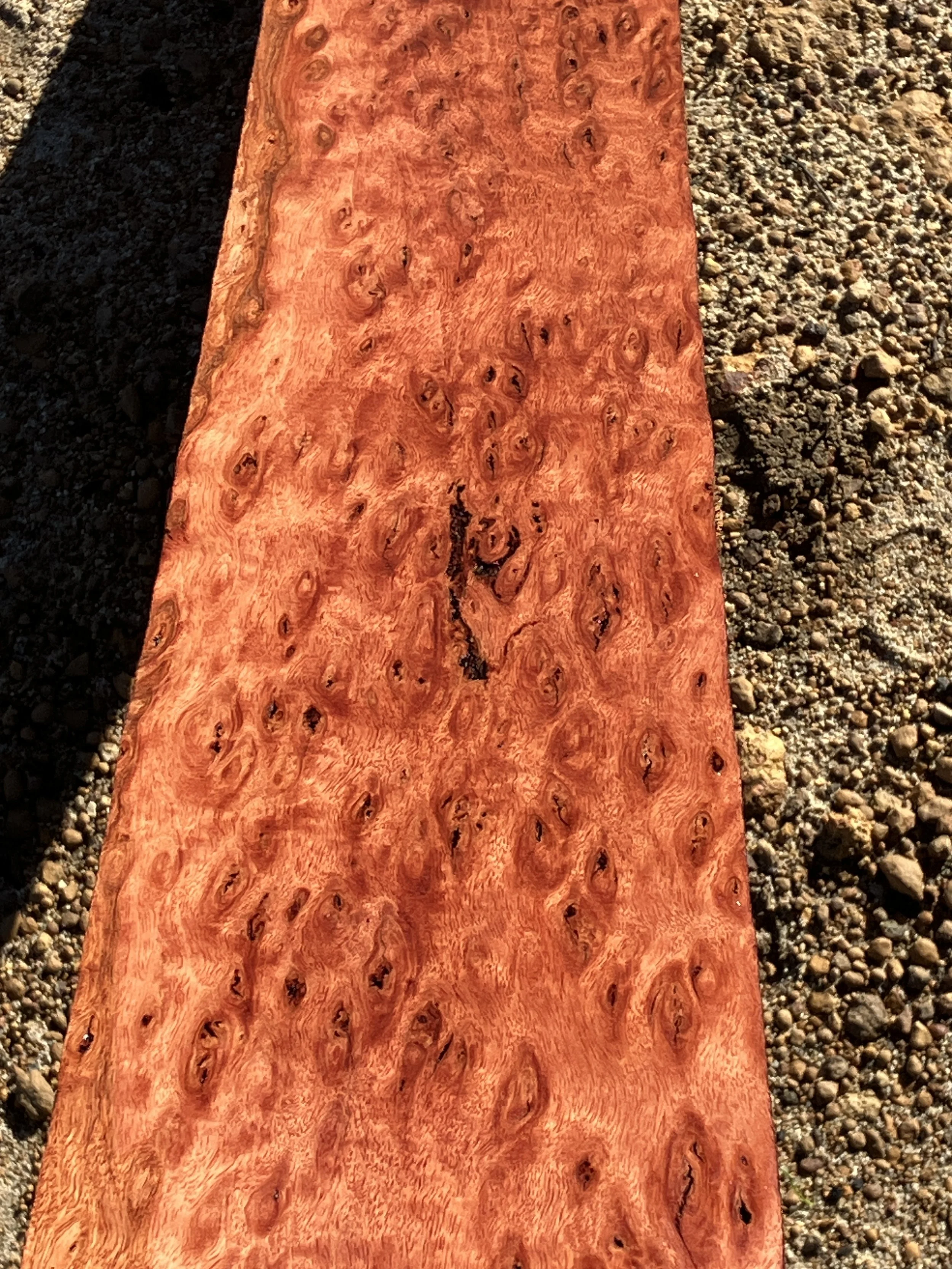 Sheoak, Marri, Tuart, Timber Slabs in Perth — The Fine Timber Company