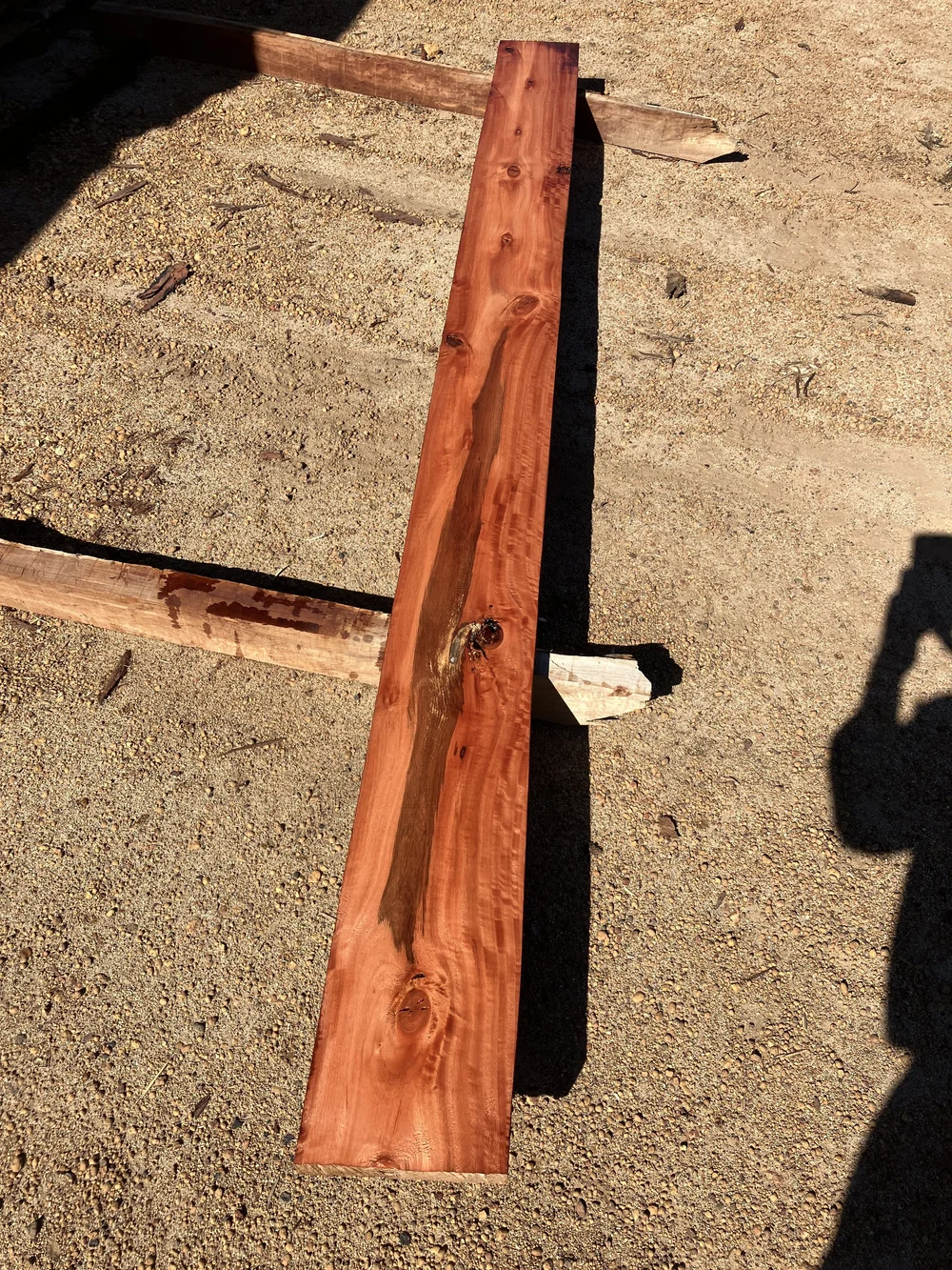 Sheoak, Marri, Tuart, Timber Slabs in Perth — The Fine Timber Company