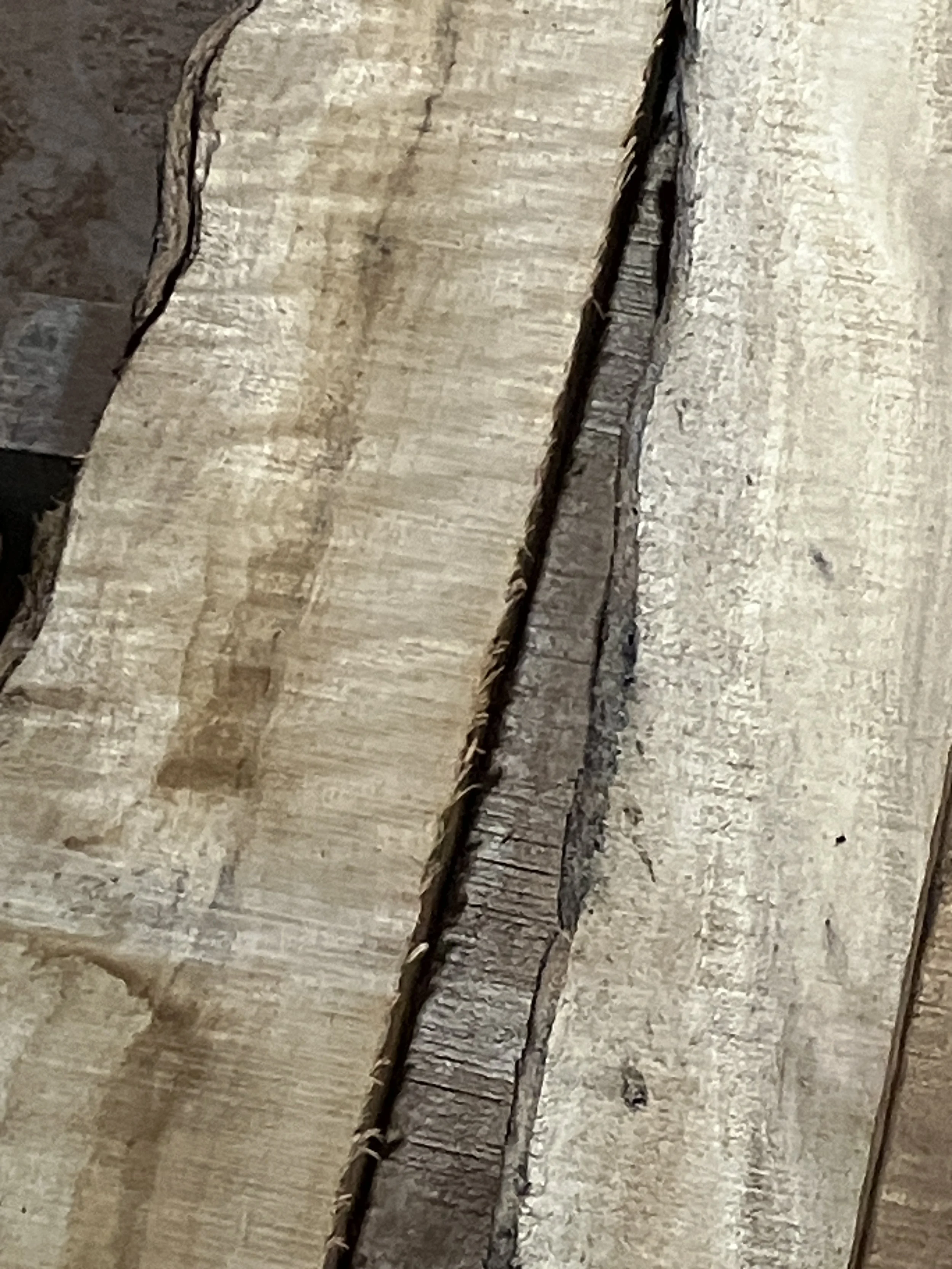Sheoak, Marri, Tuart, Timber Slabs in Perth — The Fine Timber Company