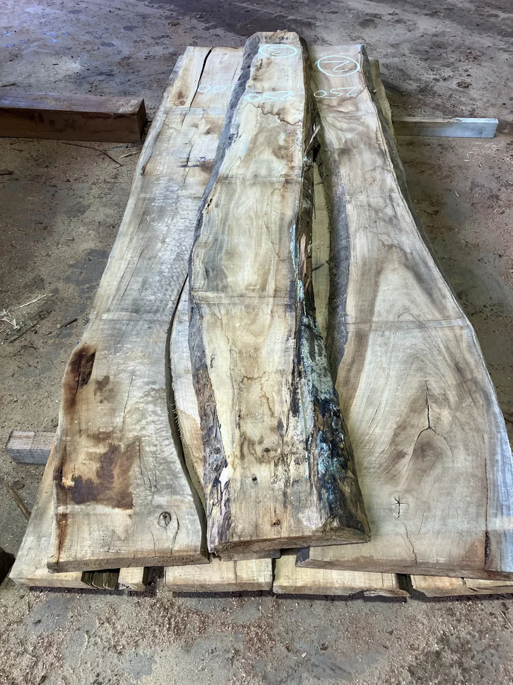 Sheoak, Marri, Tuart, Timber Slabs in Perth — The Fine Timber Company